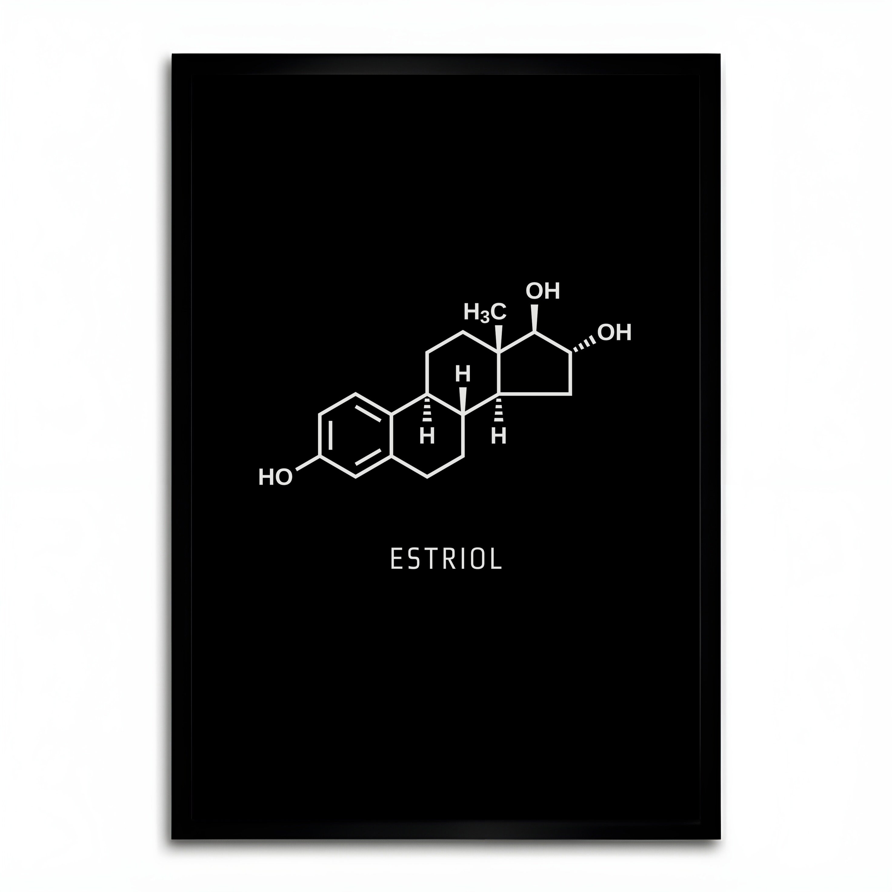 Tumblr Anatomy Anatomy Anatomy Wall Art Anatomy Line Art Medical Art Clinic Décor Anatomy