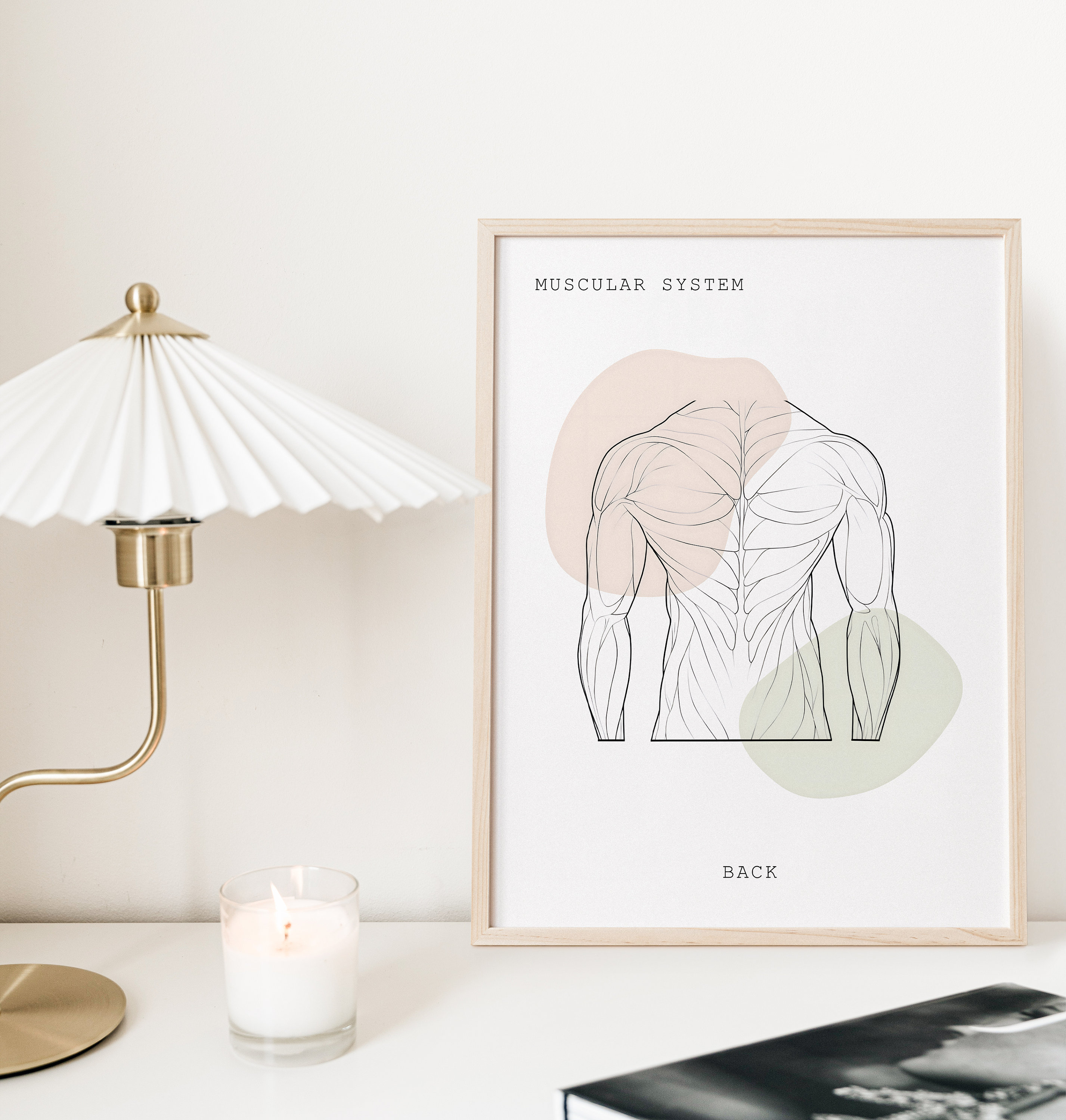 Back Anatomy, Anatomy Printable, Anatomy Line Art, Medical Art, Clinic ...