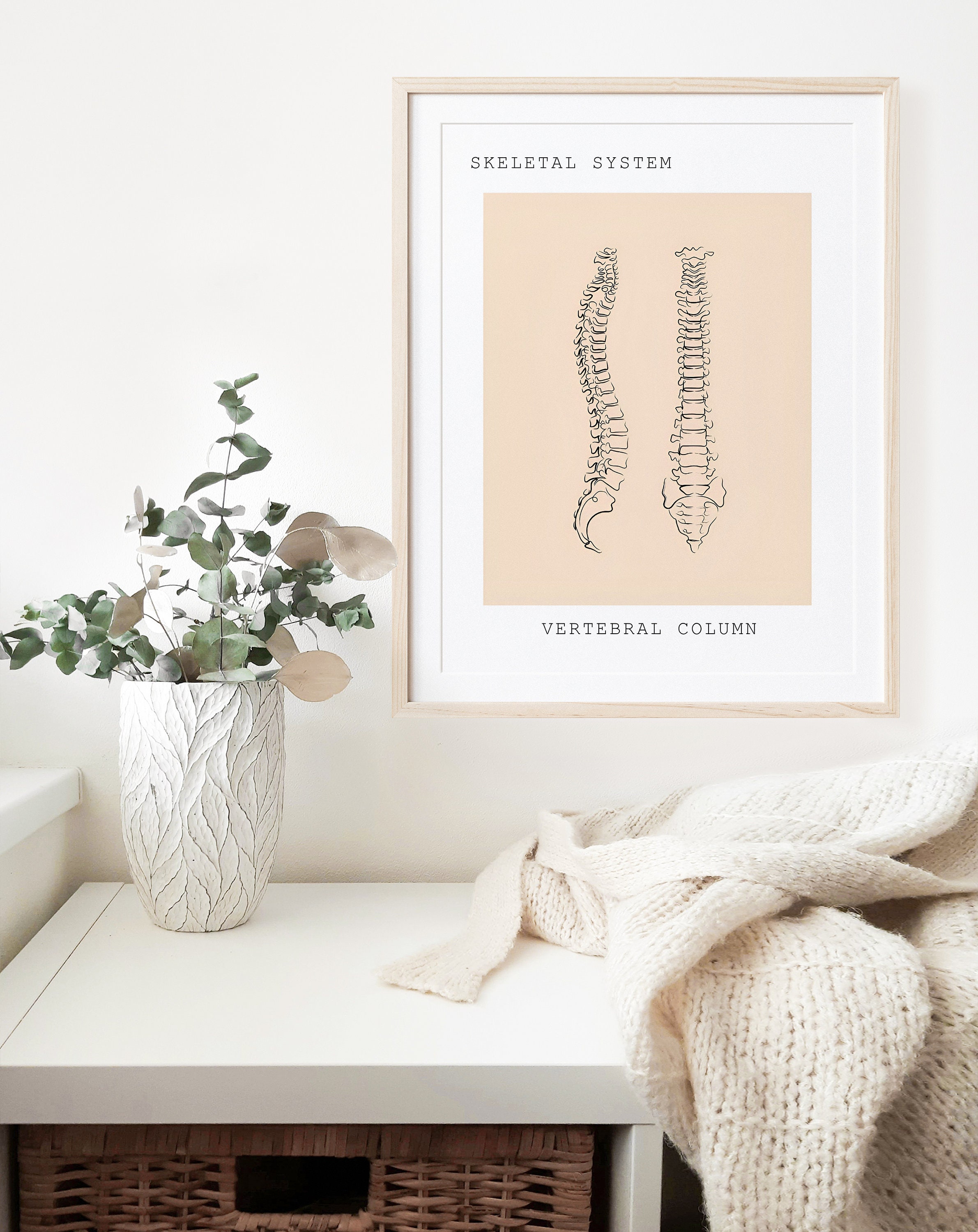 Vertebral Column Anatomy, Anatomy, Anatomy Printable, Anatomy Line Art ...