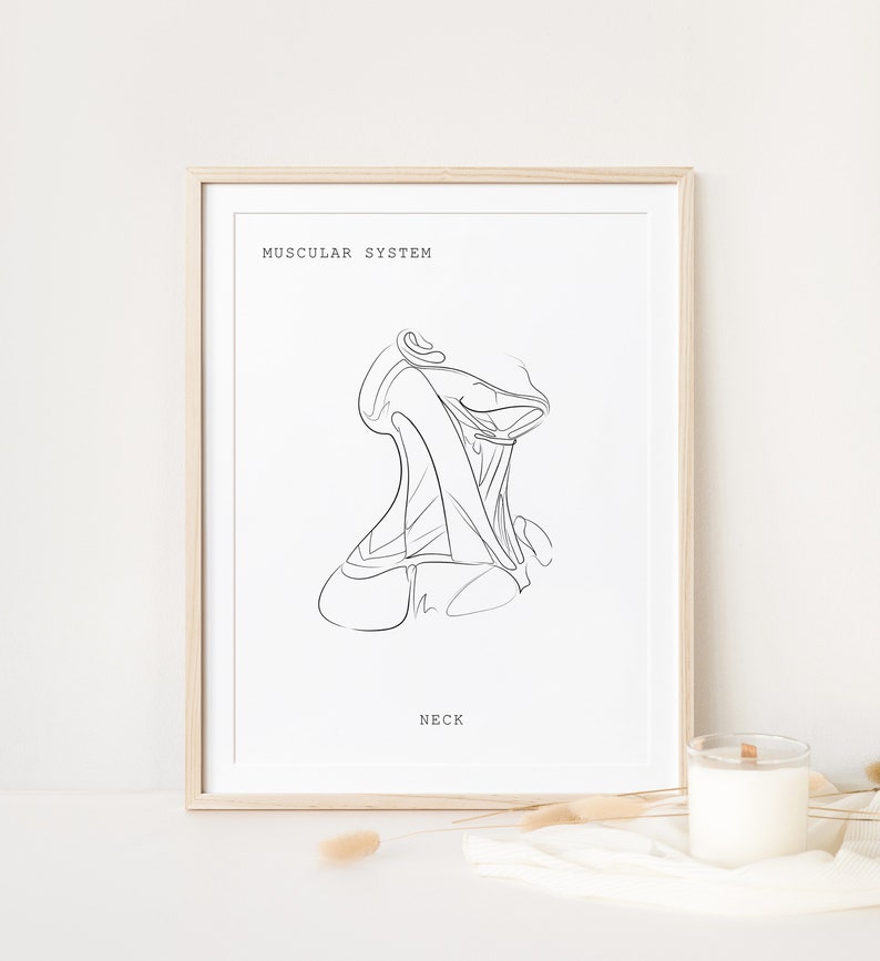 Neck Anatomy, Anatomy, Anatomy Printable, Anatomy Line Art, Medical Art ...