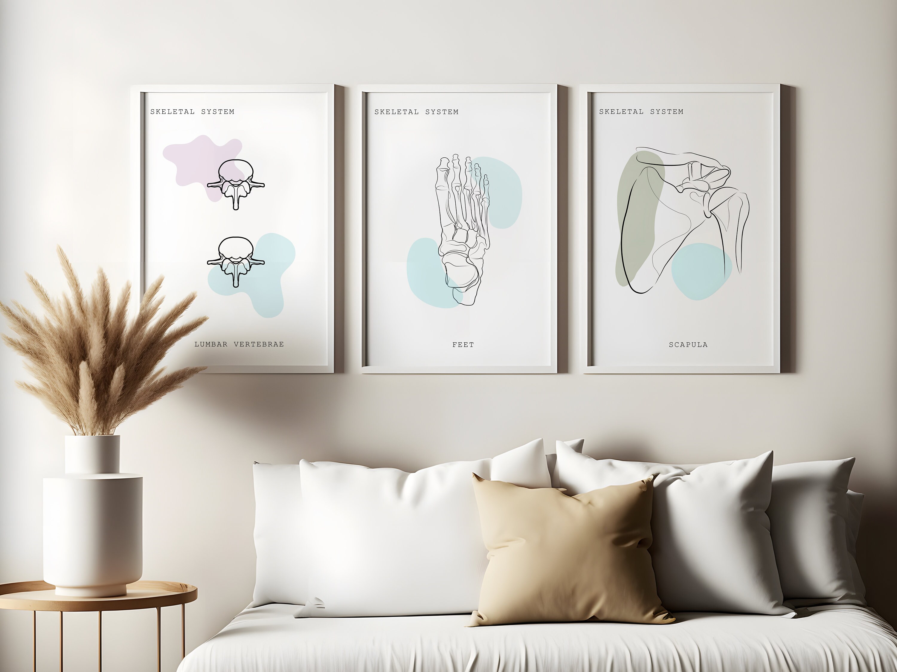 Bones Anatomy Set, Anatomy Printable, Anatomy Wall Art, Medical Art ...