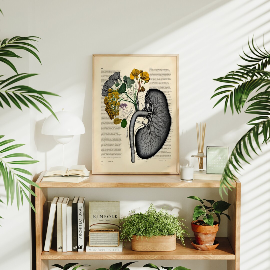 Flowery Liver, Anatomy, Anatomy Wall Art, Anatomy Line Art, Medical Art ...