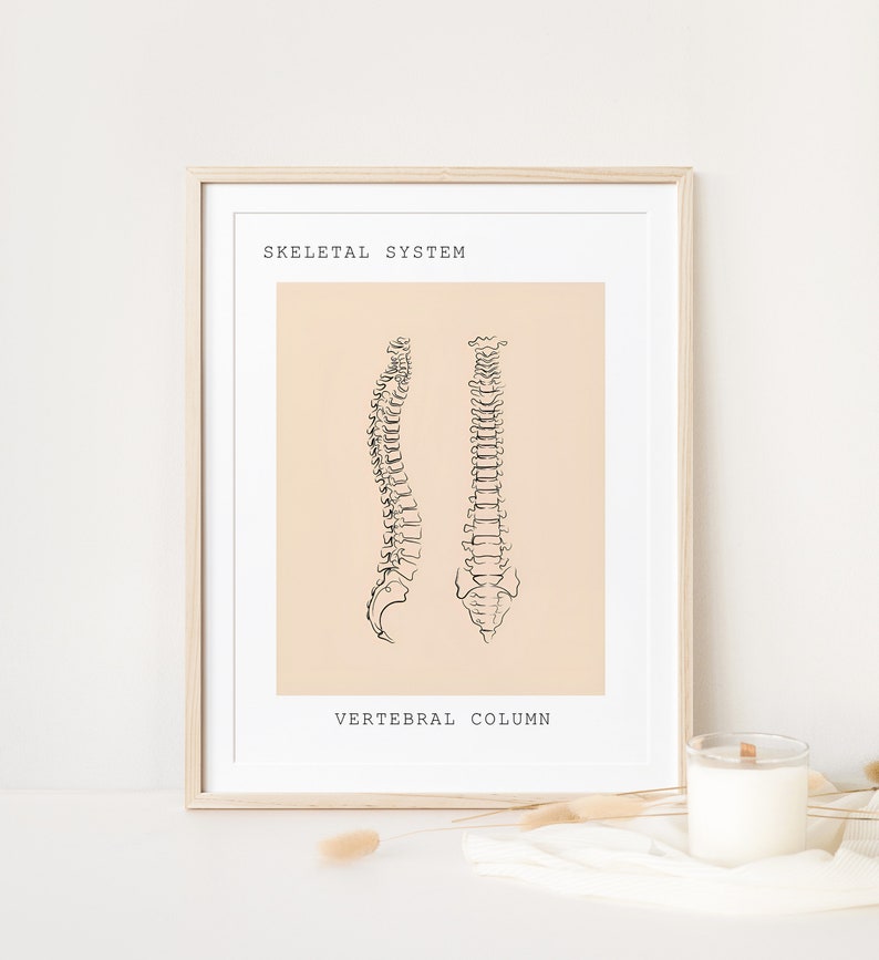 Anatomy Set, Anatomy Printable, Anatomy Wall Art, Medical Art, Clinic ...