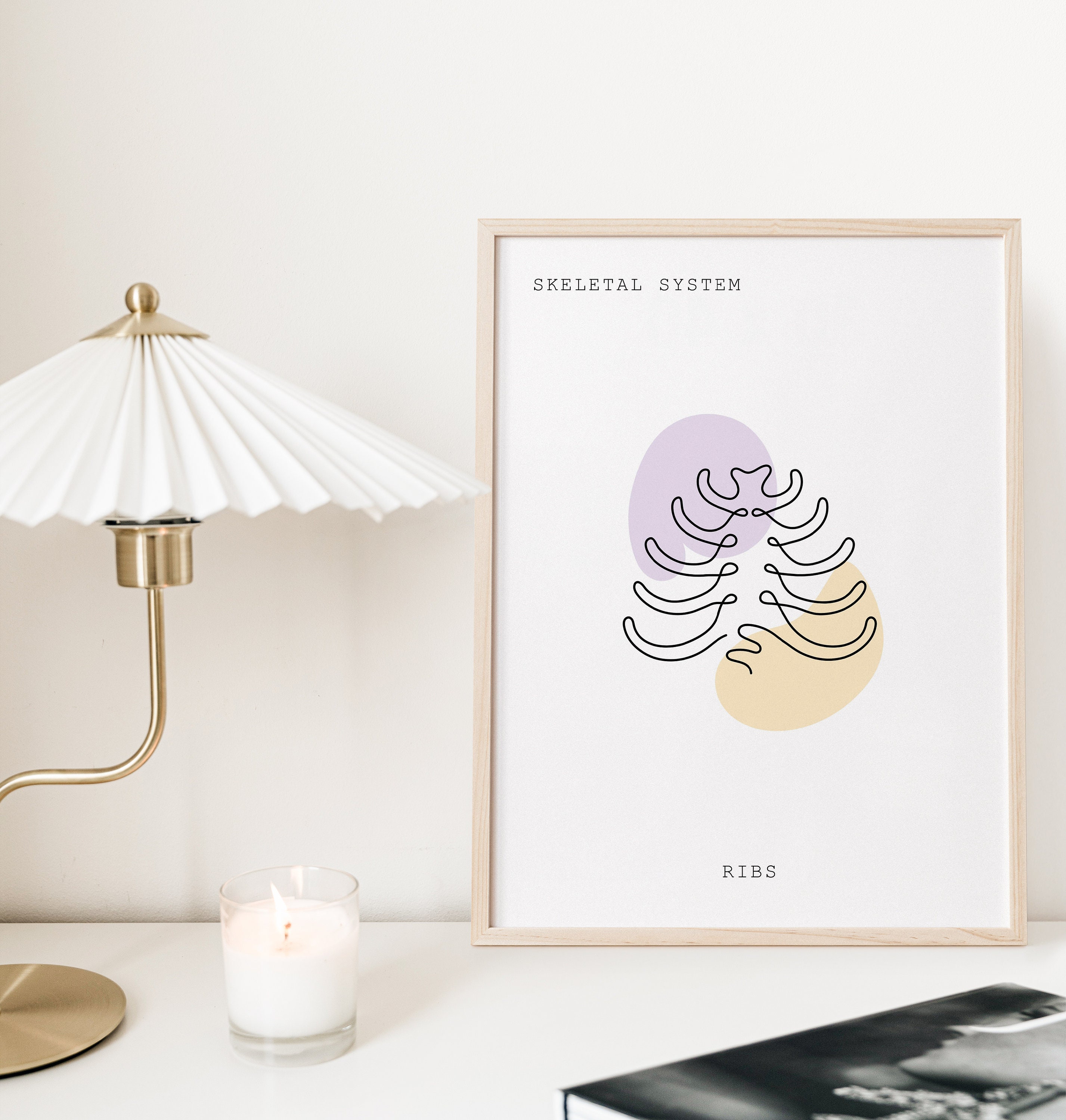 Ribs Anatomy, Anatomy, Anatomy Printable, Anatomy Line Art, Medical Art ...