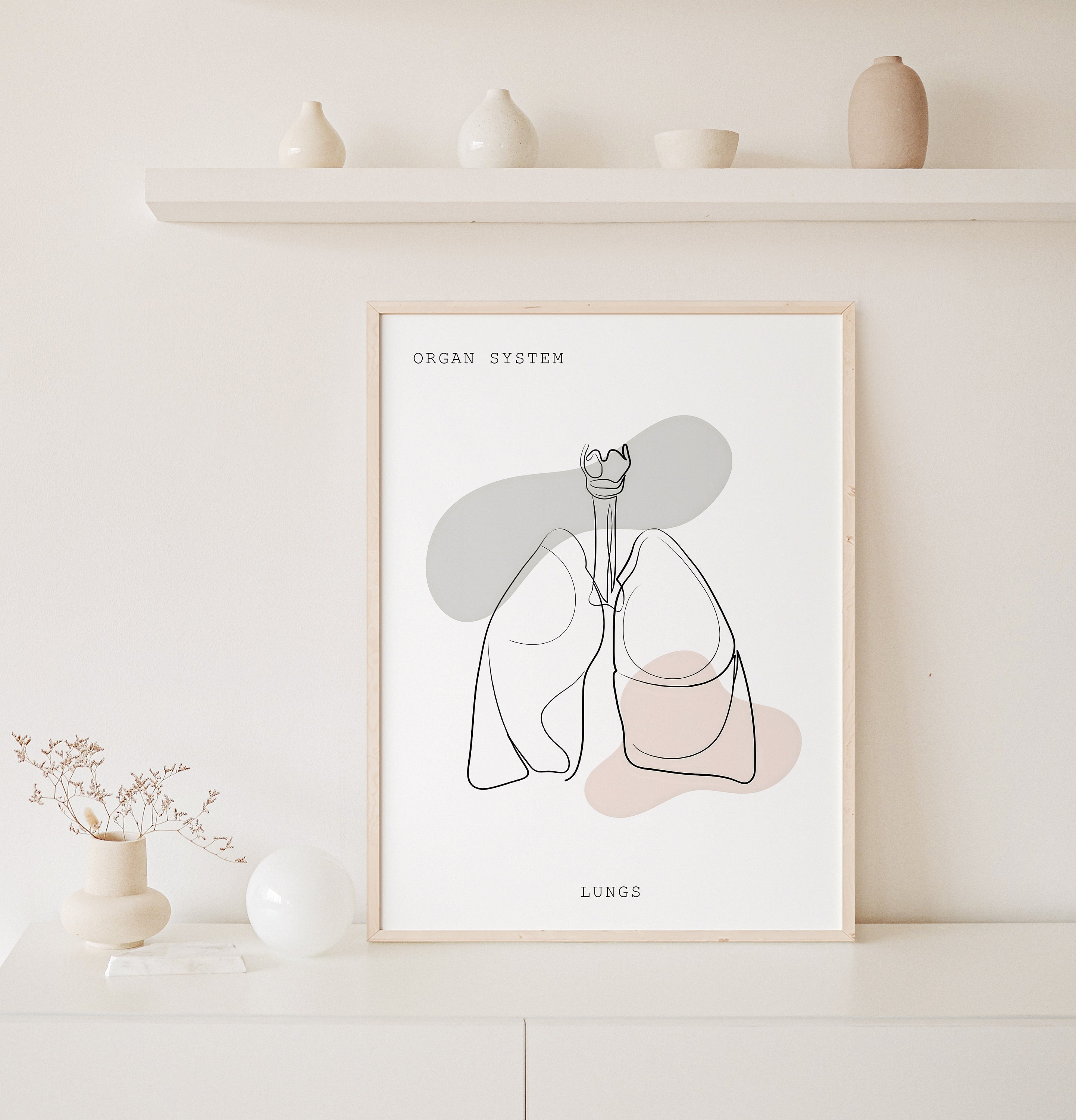 Lungs Anatomy, Anatomy Printable, Anatomy Line Art, Medical Art, Clinic ...