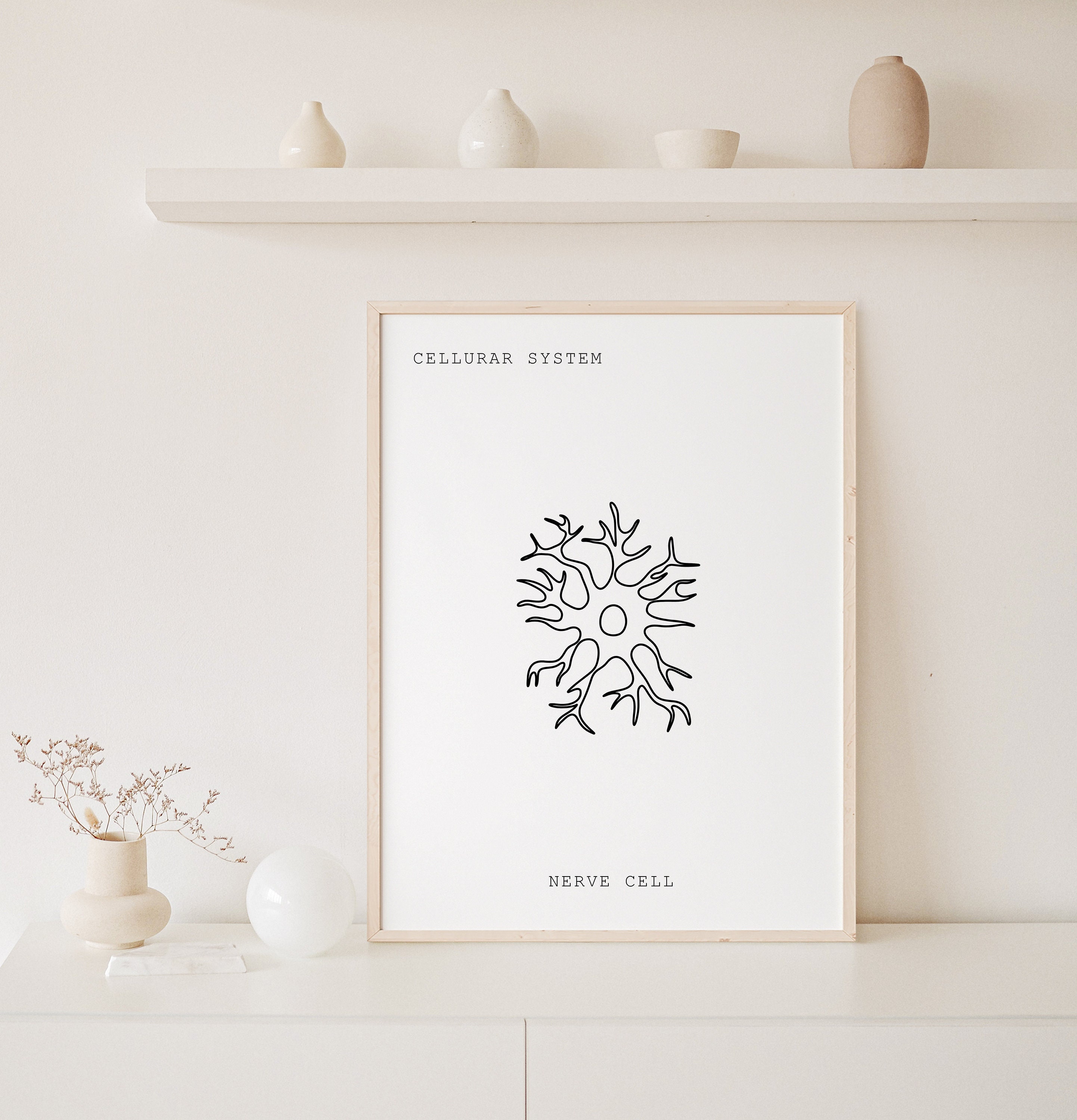 Nerve Cell Anatomy, Anatomy, Anatomy Printable, Anatomy Line Art ...