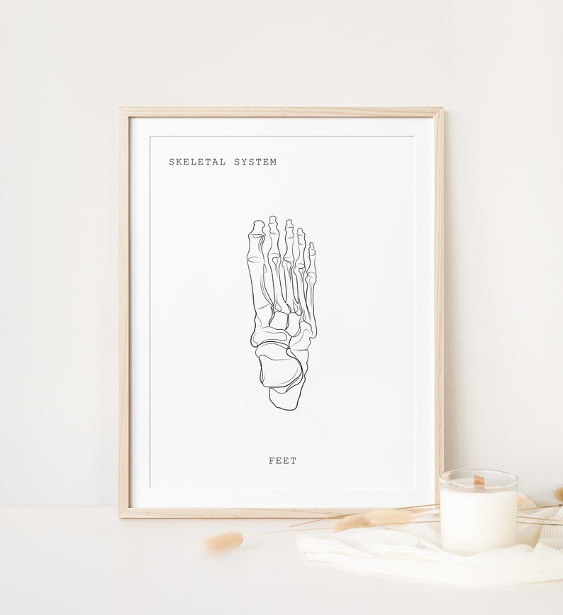 Foot Anatomy, Anatomy, Anatomy Printable, Anatomy Line Art, Medical Art ...
