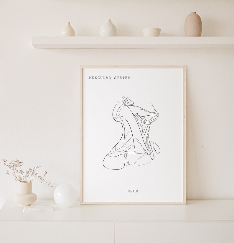 Neck Anatomy, Anatomy, Anatomy Printable, Anatomy Line Art, Medical Art ...