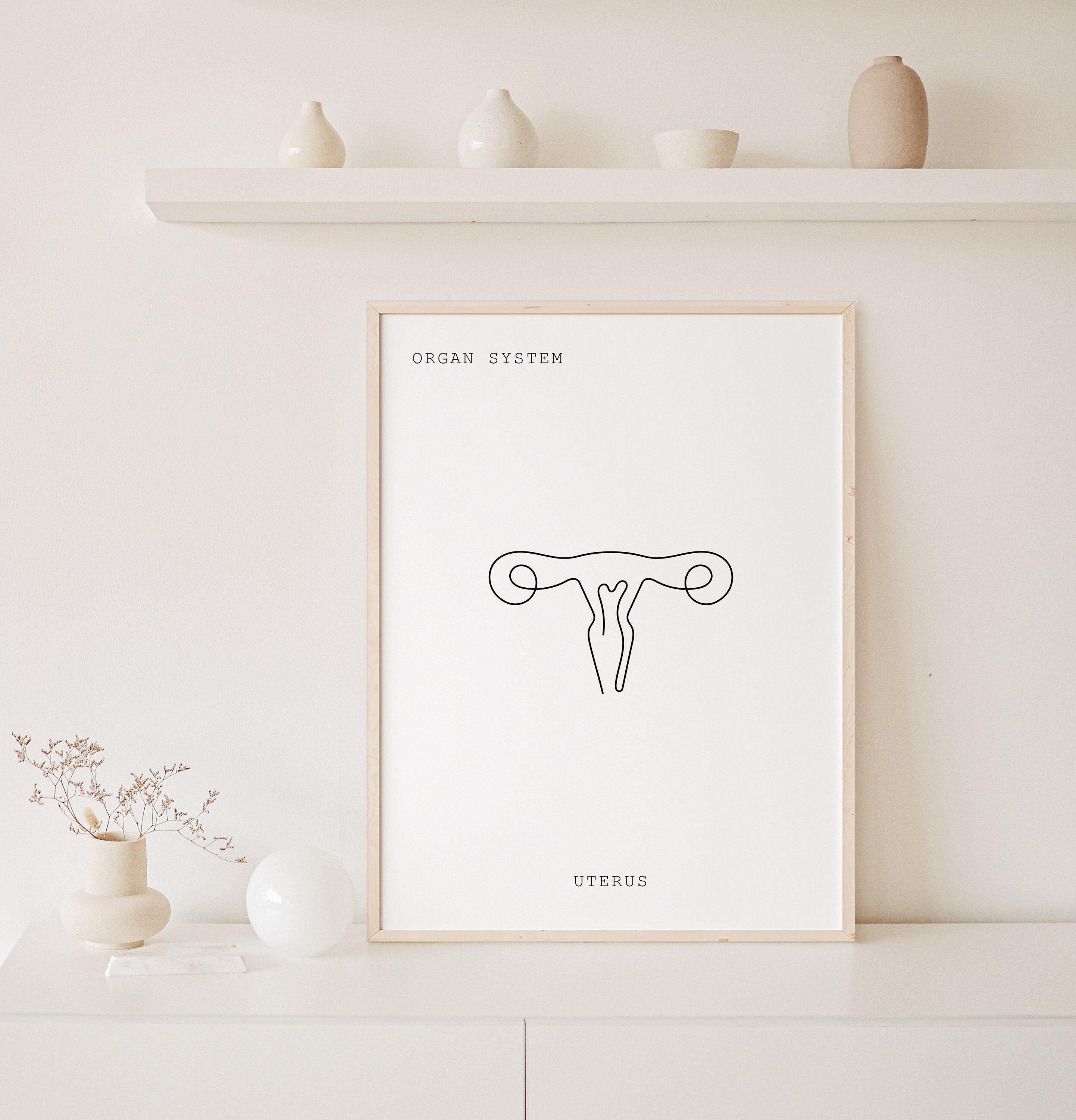 Anatomía del Útero, Anatomía, Anatomía Imprimible, Arte de Línea de ...