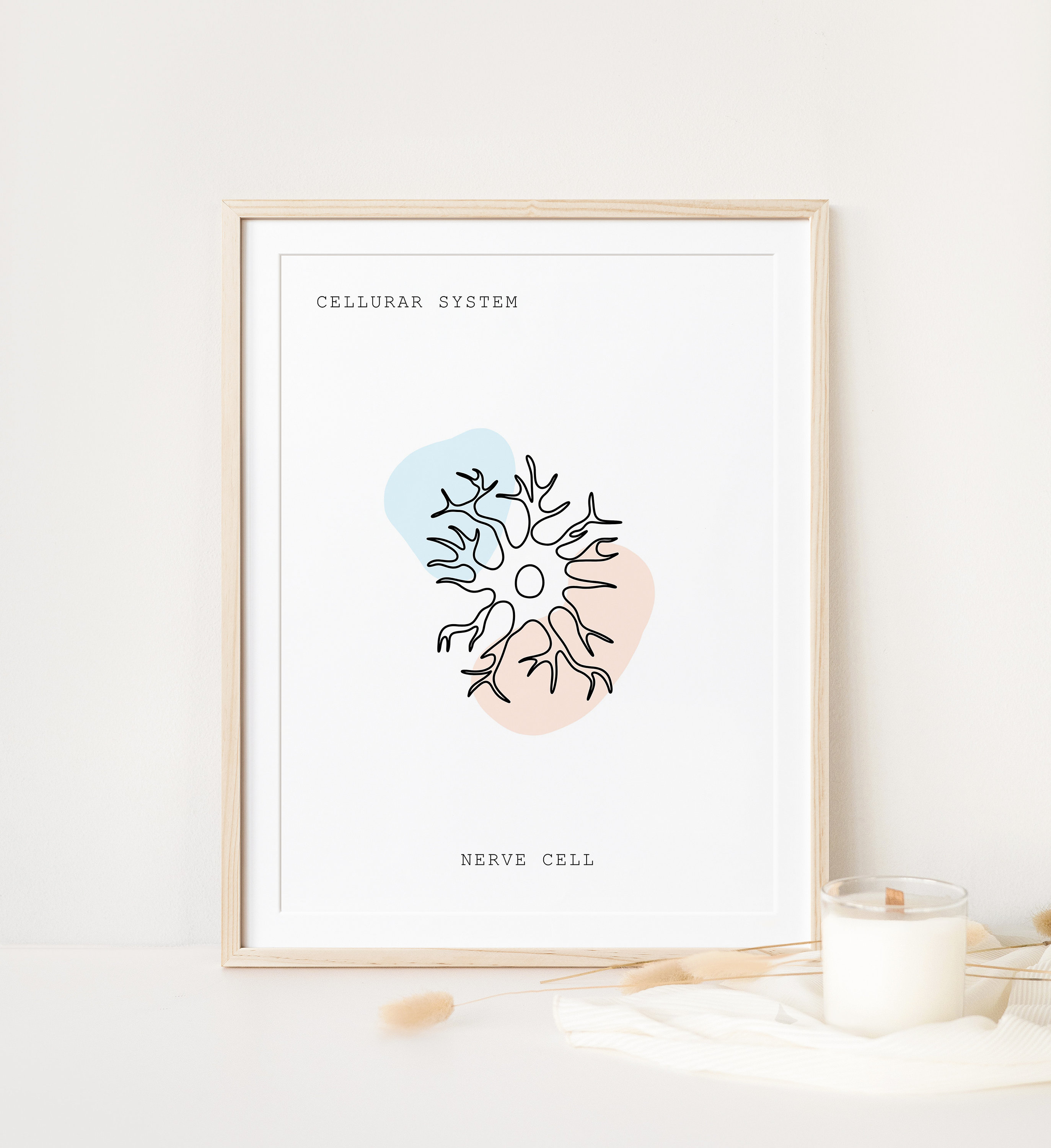 Nerve Cell Anatomy, Anatomy, Anatomy Wall Art, Anatomy Line Art ...