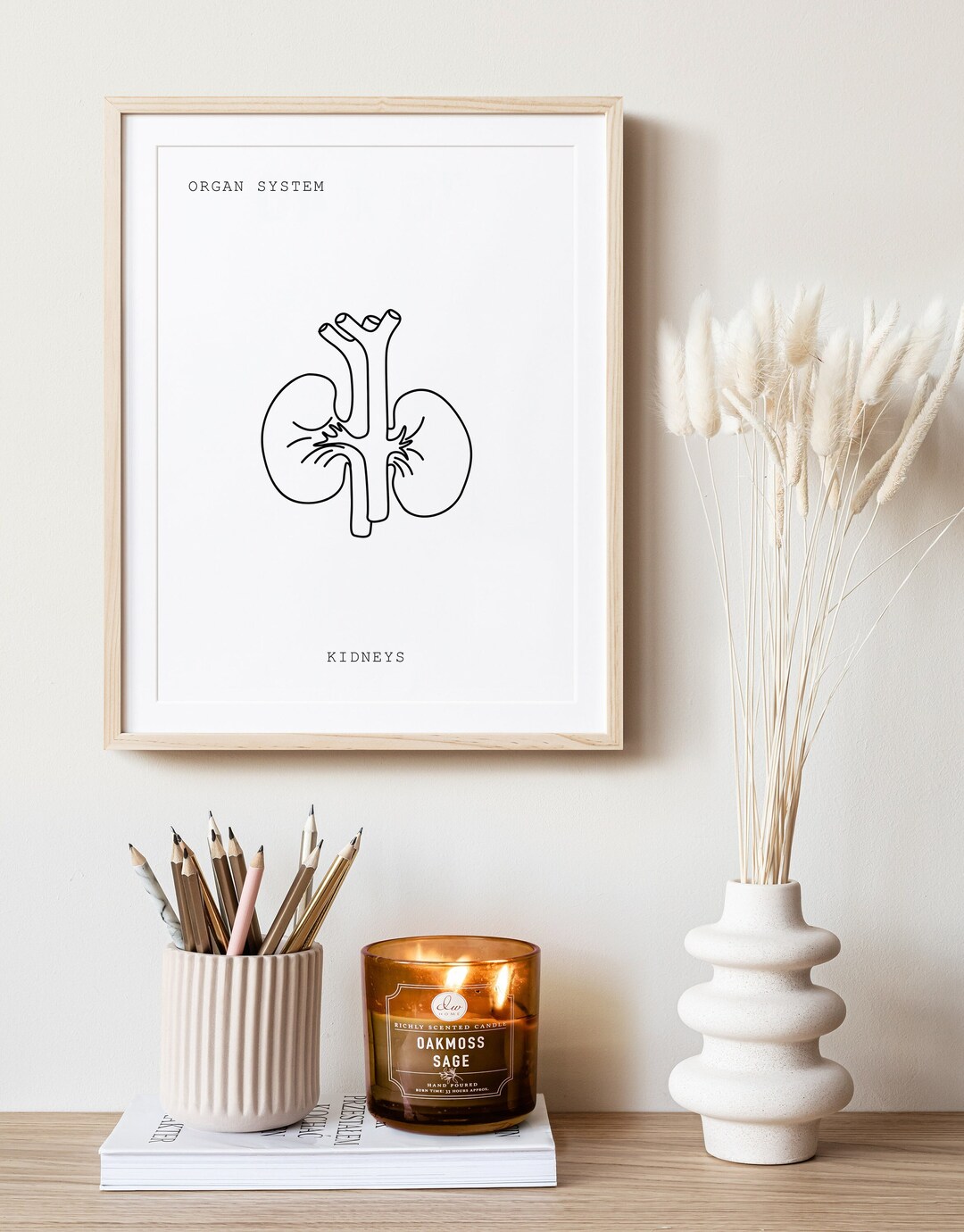 Kidneys Anatomy, Anatomy, Anatomy Printable, Anatomy Line Art, Medical ...