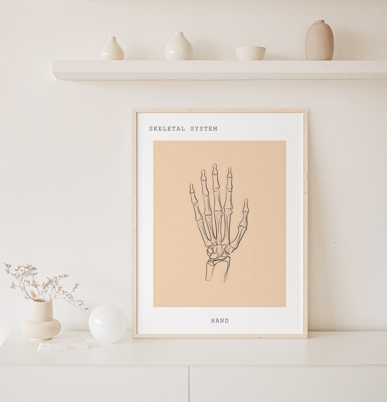 Hand Anatomy, Anatomy, Anatomy Printable, Anatomy Line Art, Medical Art ...