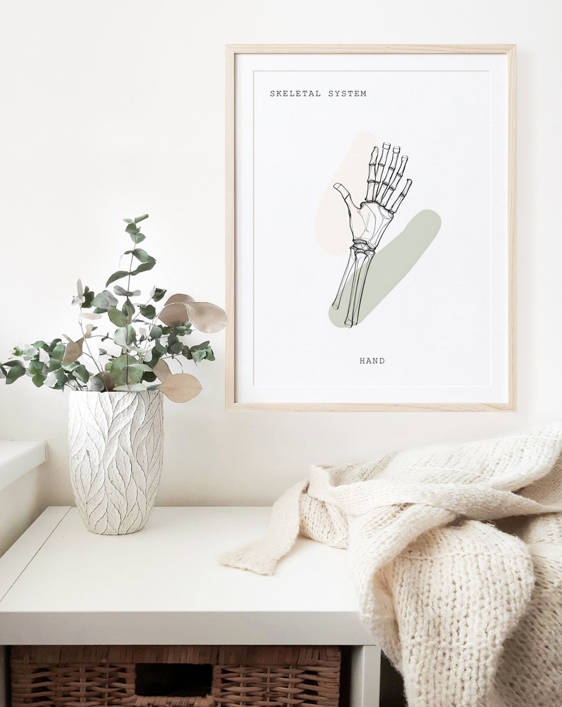 Hand Anatomy, Anatomy Printable, Anatomy Line Art, Medical Art, Clinic ...