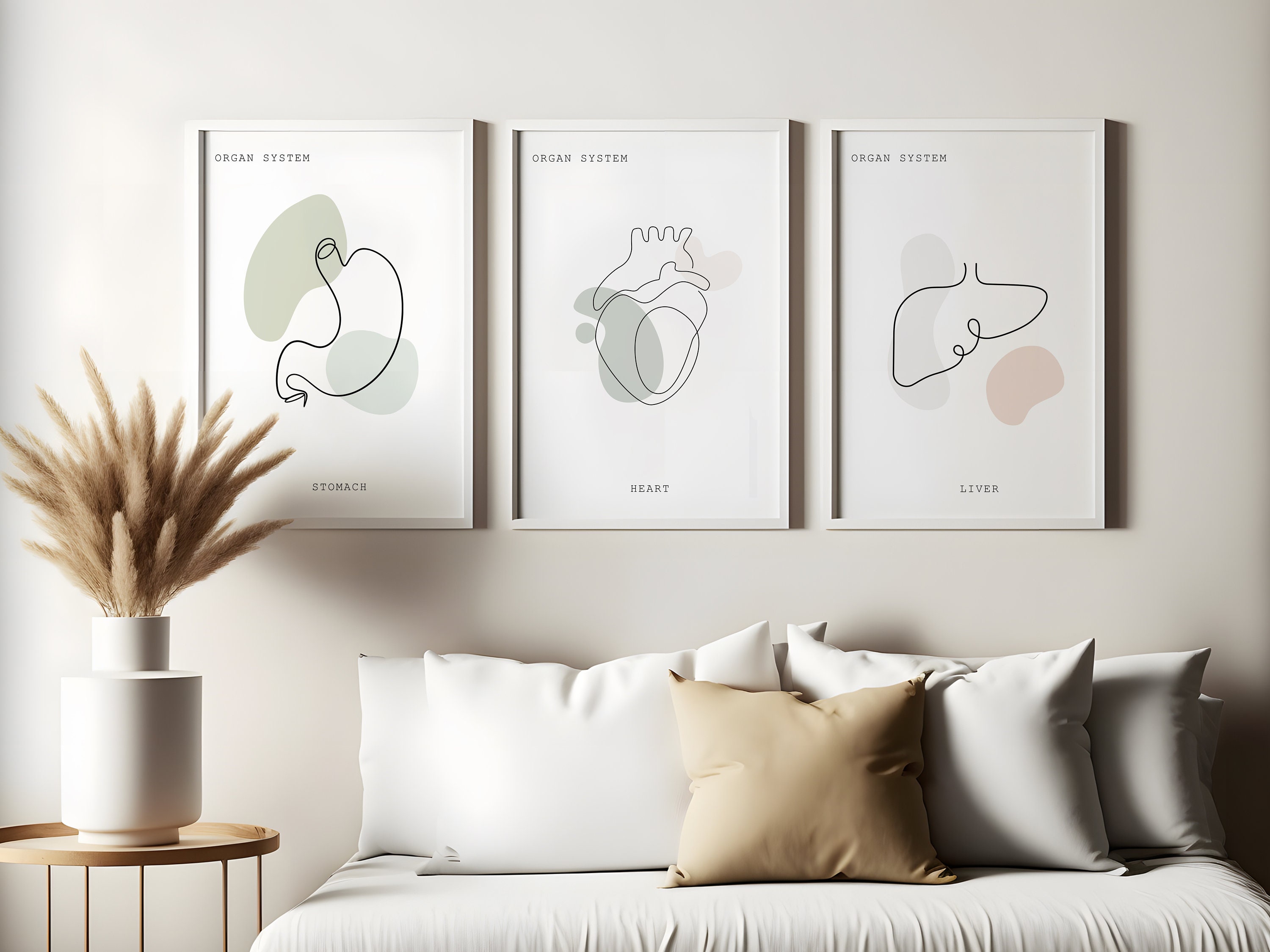 Organs Anatomy Set, Anatomy Printable, Anatomy Wall Art, Medical Art ...