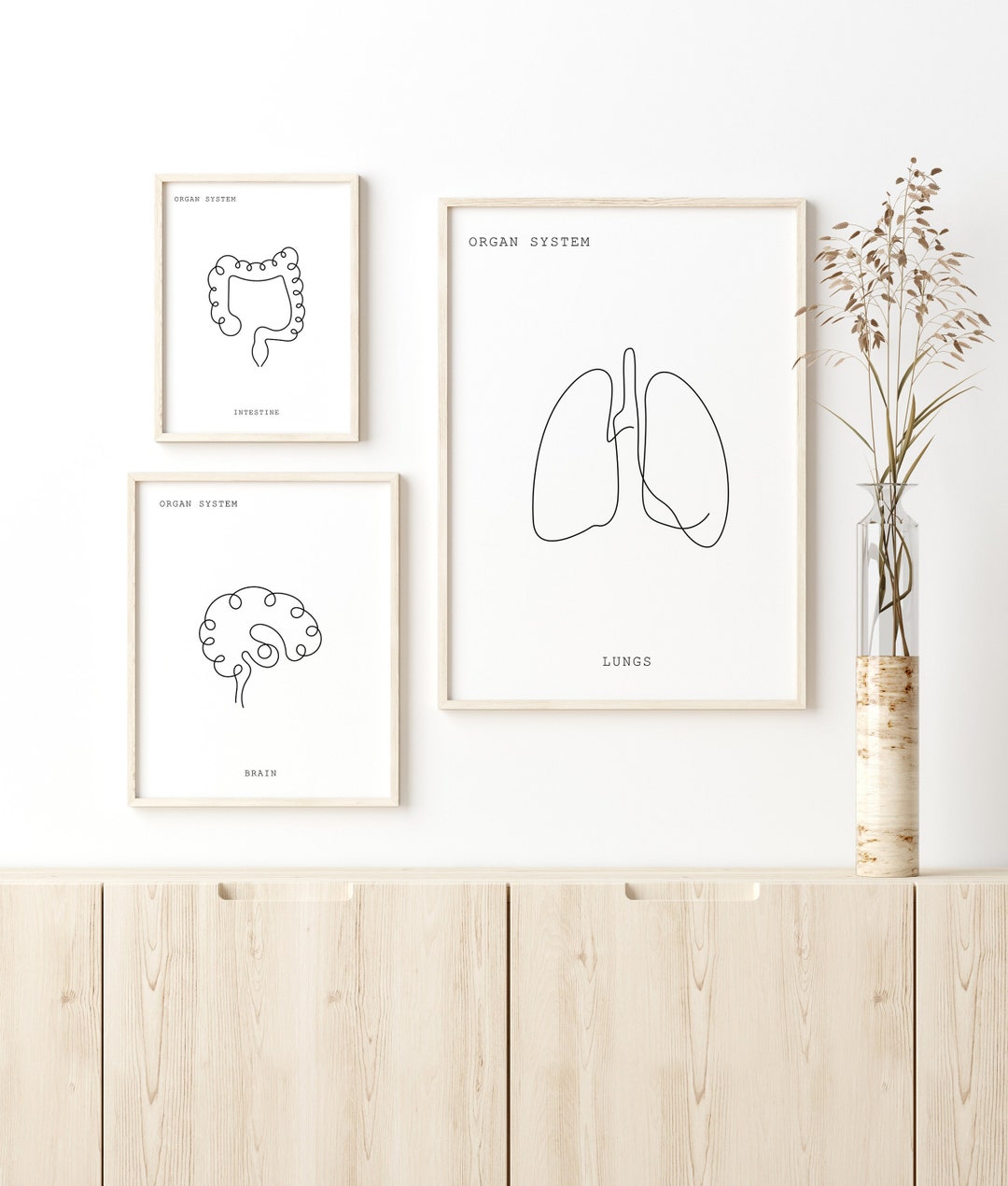 Organs Anatomy Set, Anatomy Printable, Anatomy Wall Art, Medical Art ...