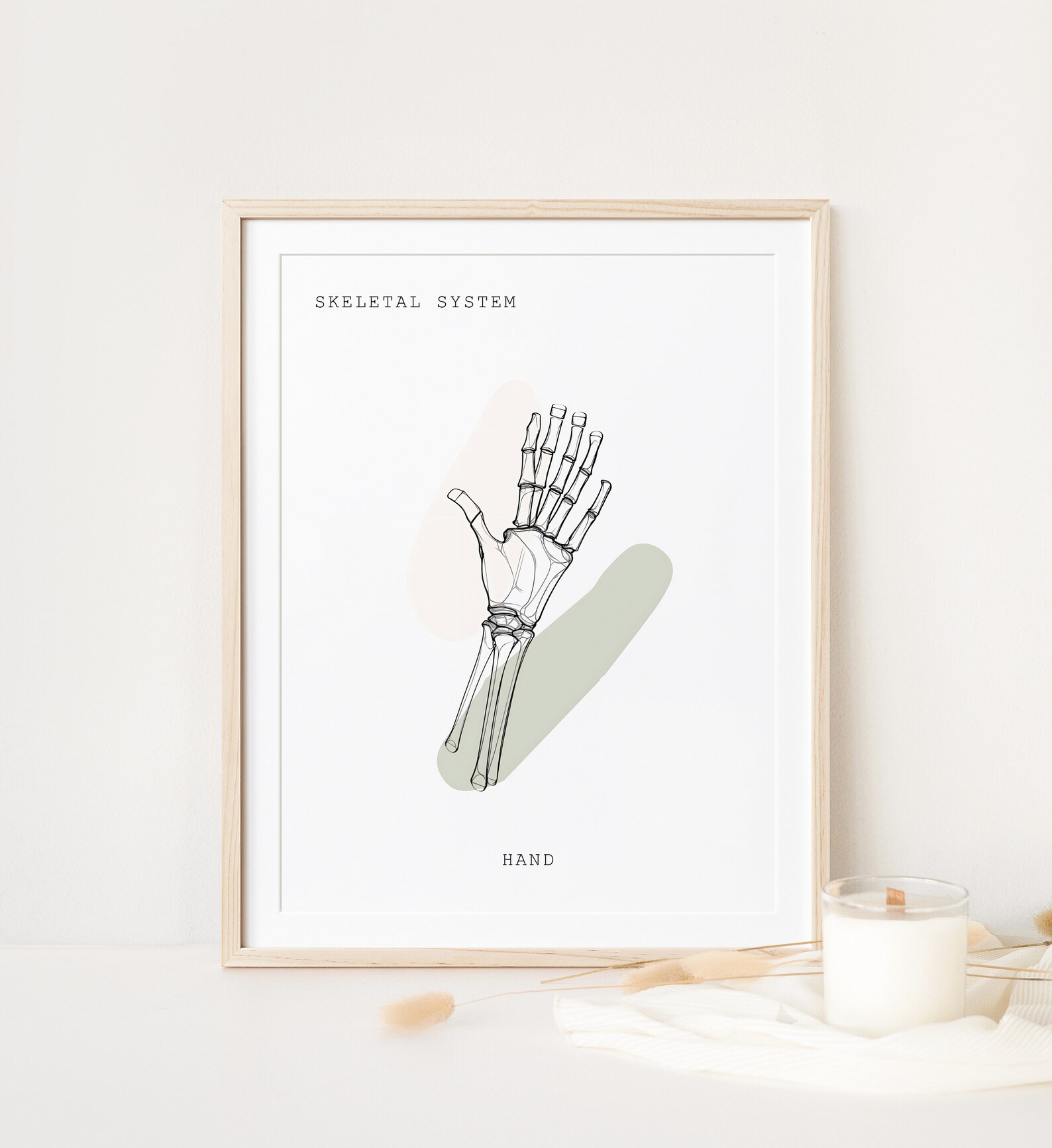 Hand Anatomy, Anatomy Printable, Anatomy Line Art, Medical Art, Clinic ...