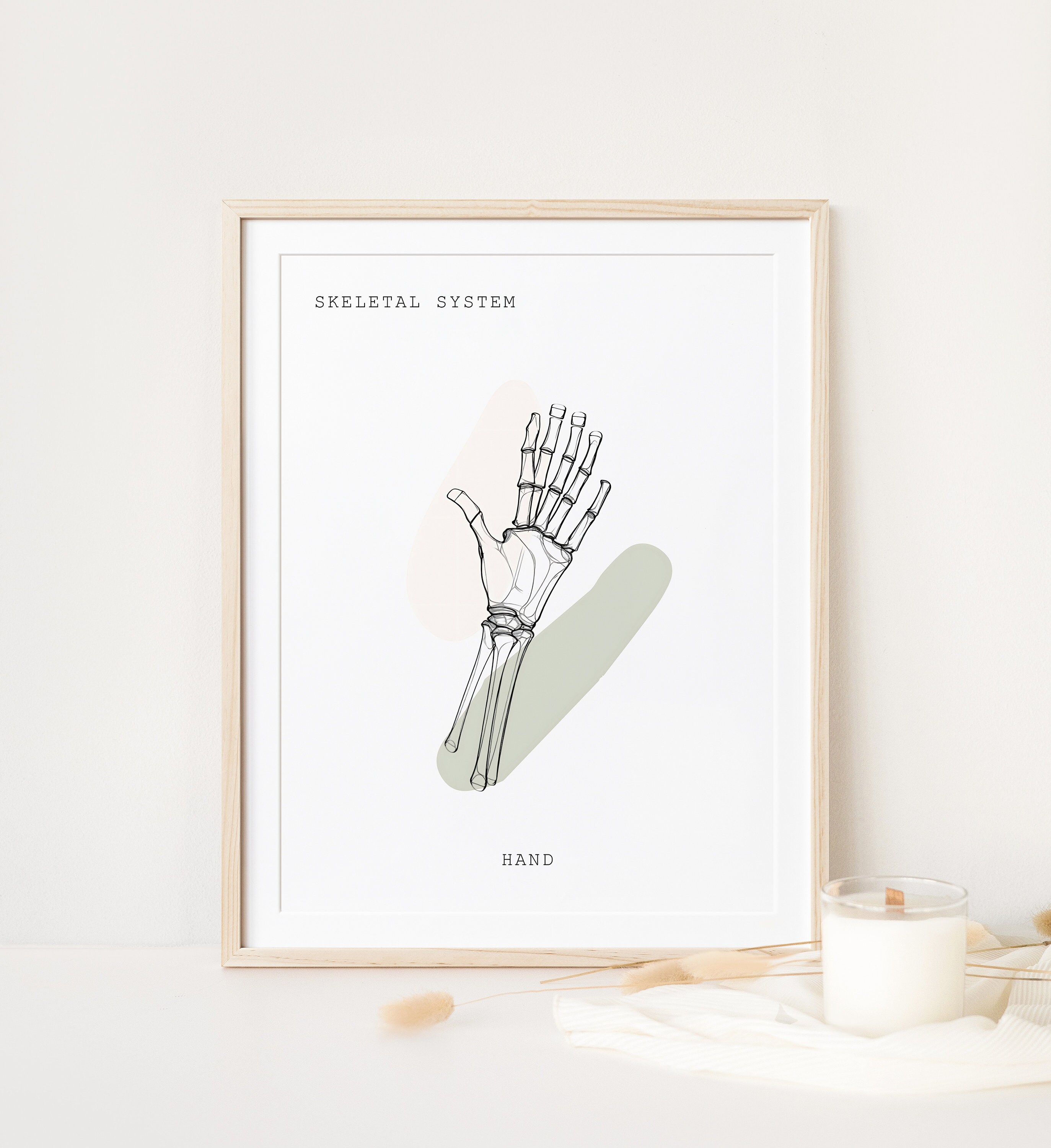 Hand Anatomy, Anatomy Printable, Anatomy Line Art, Medical Art, Clinic ...