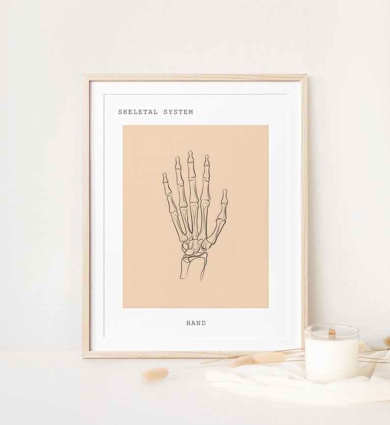 Hand Anatomy, Anatomy, Anatomy Printable, Anatomy Line Art, Medical Art ...