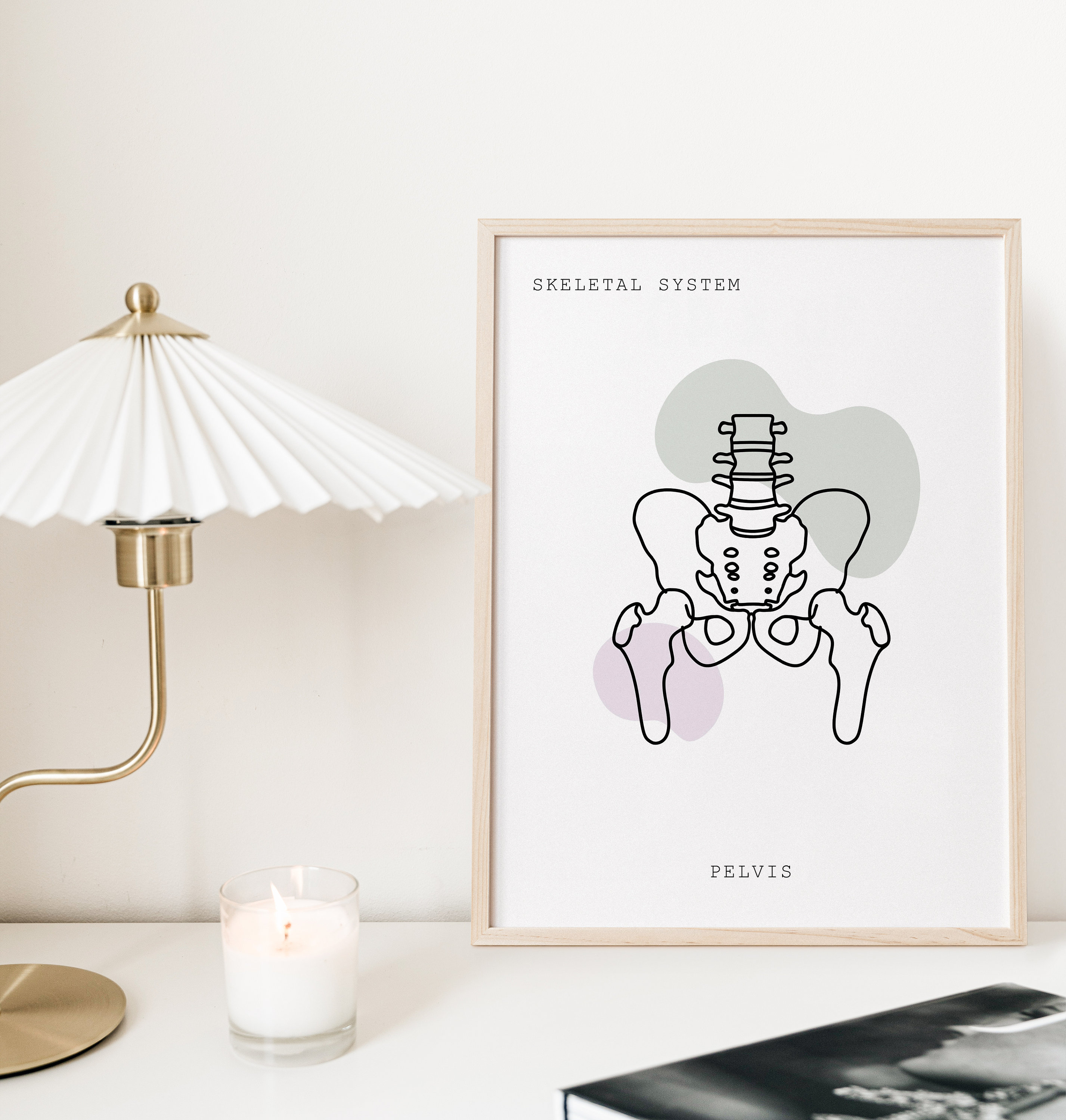 Pelvis Anatomy, Anatomy, Anatomy Printable, Anatomy Line Art, Medical ...