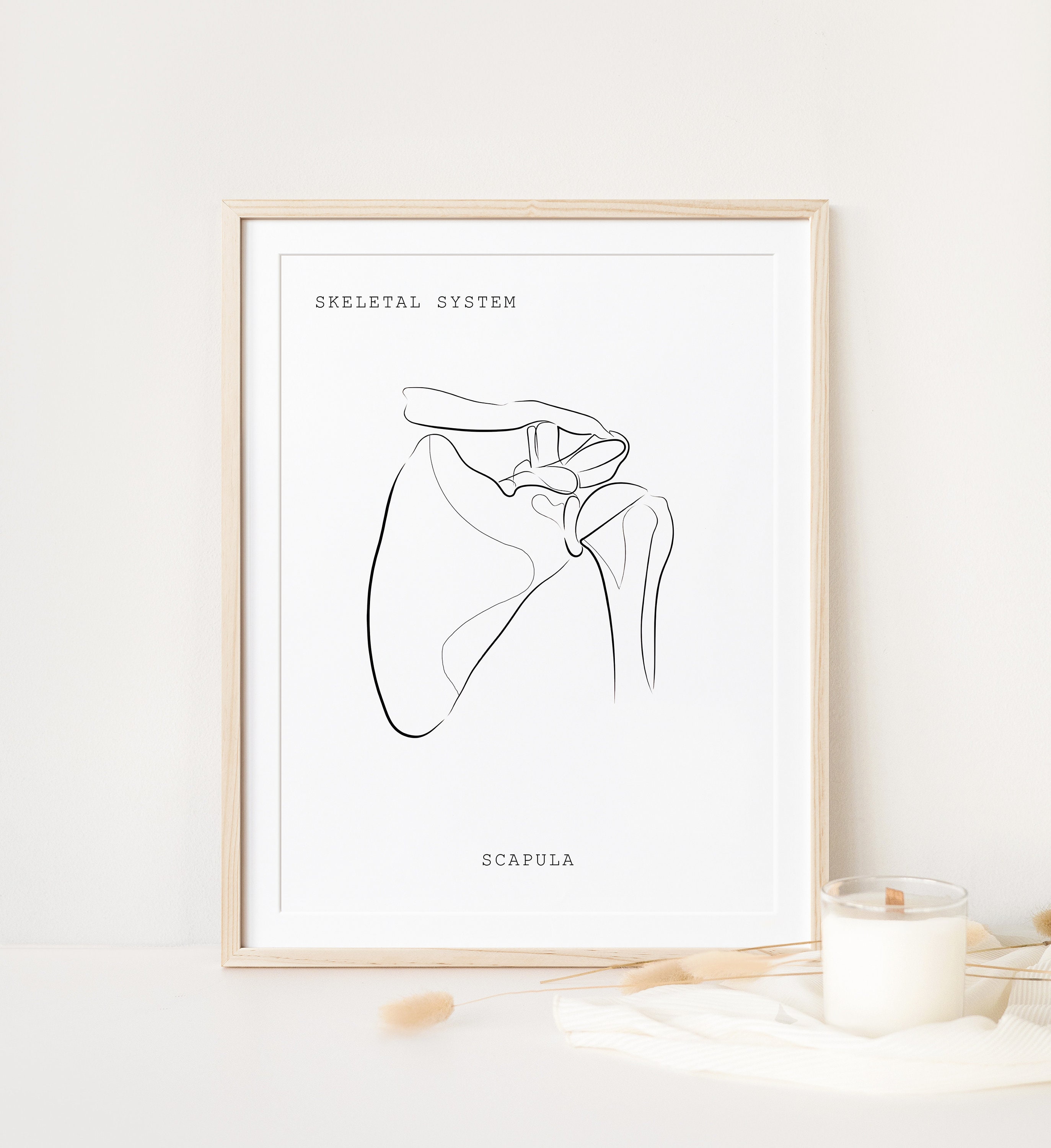 Scapula Anatomy, Anatomy, Anatomy Printable, Anatomy Line Art, Medical ...