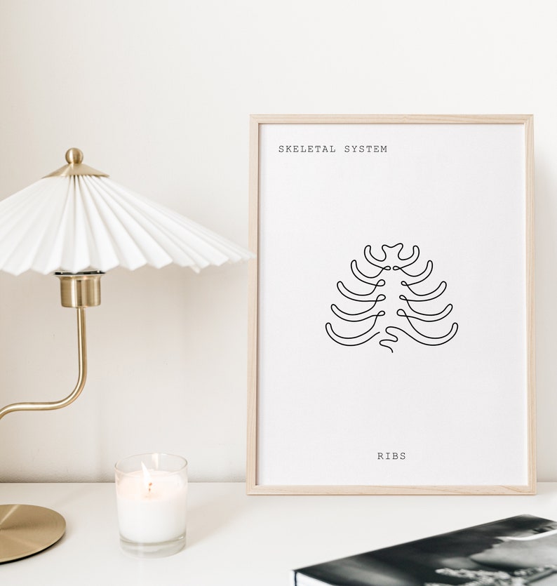 Ribs Anatomy, Anatomy, Anatomy Printable, Anatomy Line Art, Medical Art ...