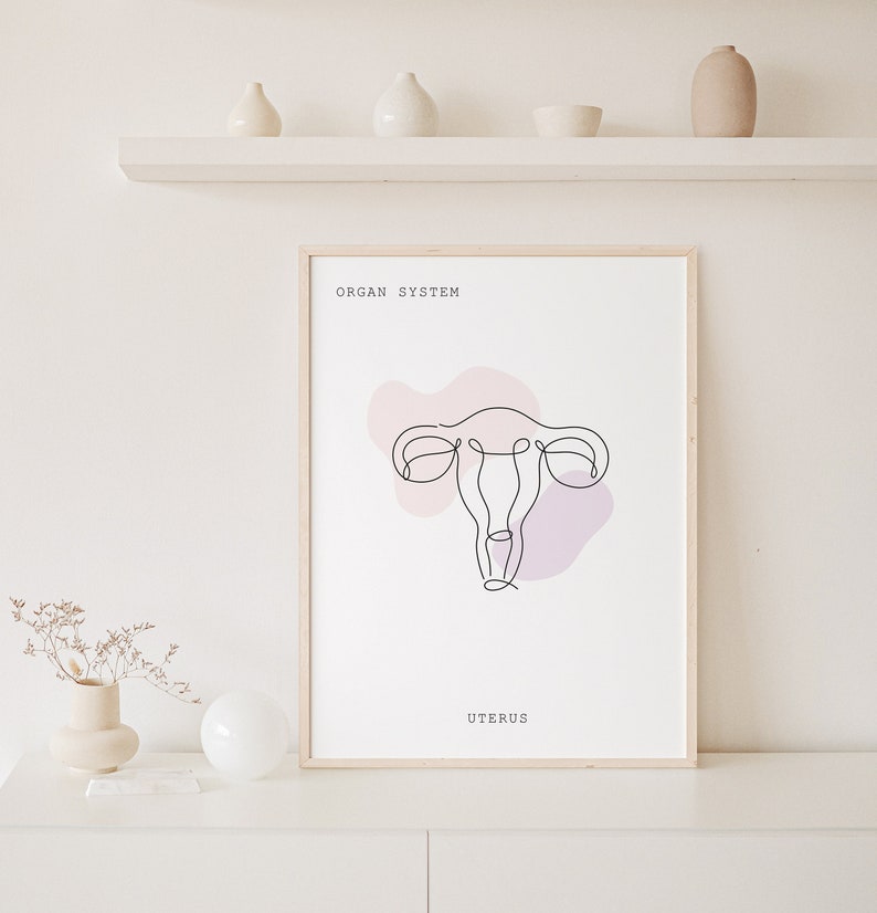 Uterus Anatomy, Anatomy, Anatomy Printable, Anatomy Line Art, Medical ...