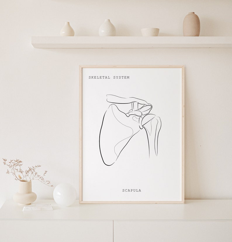 Scapula Anatomy, Anatomy, Anatomy Printable, Anatomy Line Art, Medical ...