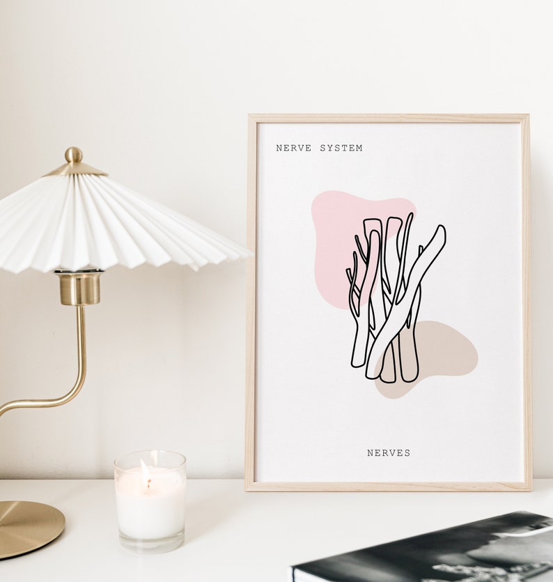 Nerves Anatomy, Anatomy, Anatomy Printable, Anatomy Line Art, Medical ...