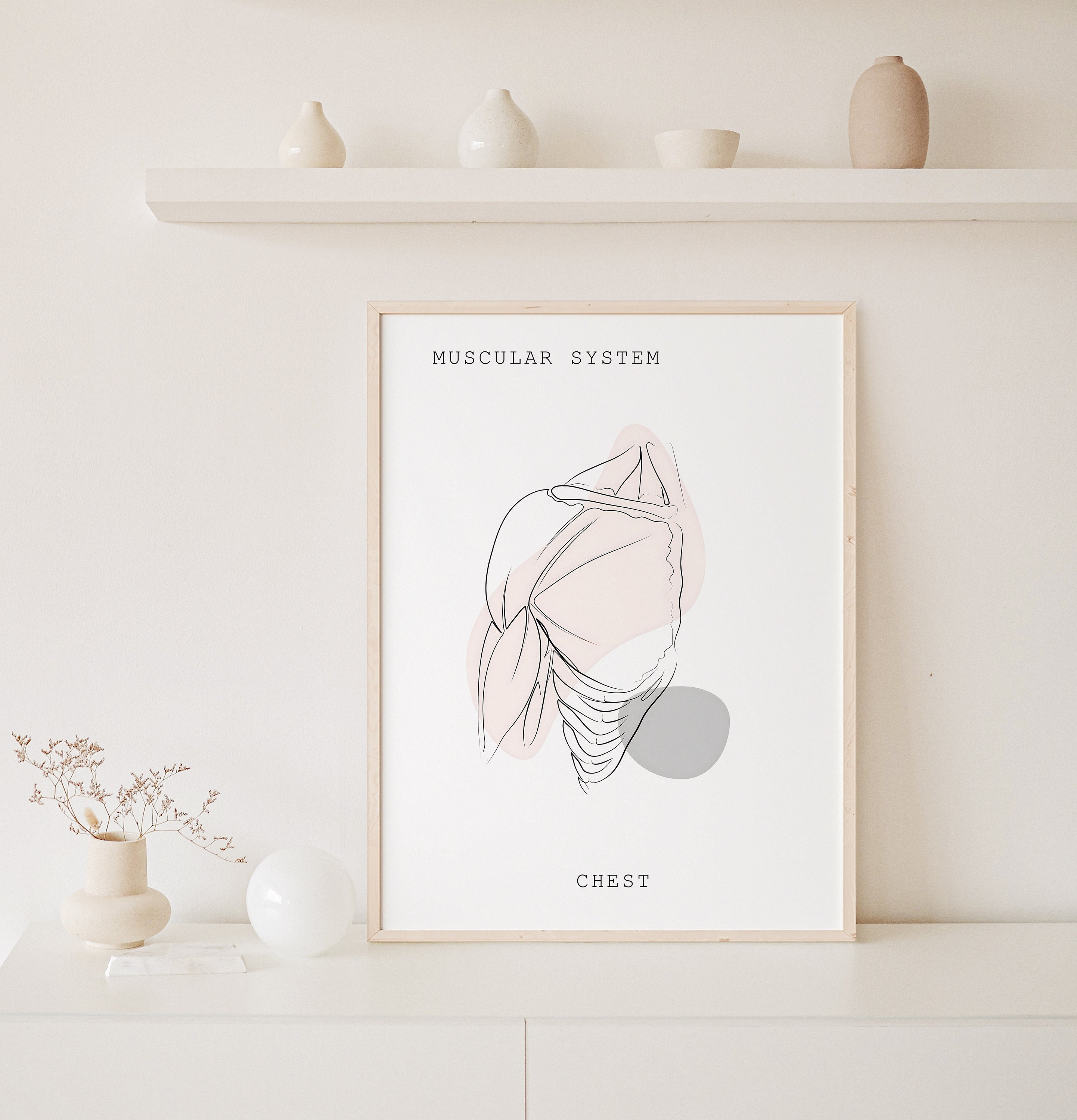 Chest Anatomy, Anatomy, Anatomy Printable, Anatomy Line Art, Medical ...