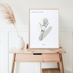 Hand Anatomy, Anatomy Printable, Anatomy Line Art, Medical Art, Clinic ...