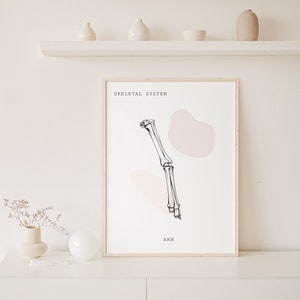 Arm Anatomy, Anatomy Printable, Anatomy Line Art, Medical Art, Clinic ...