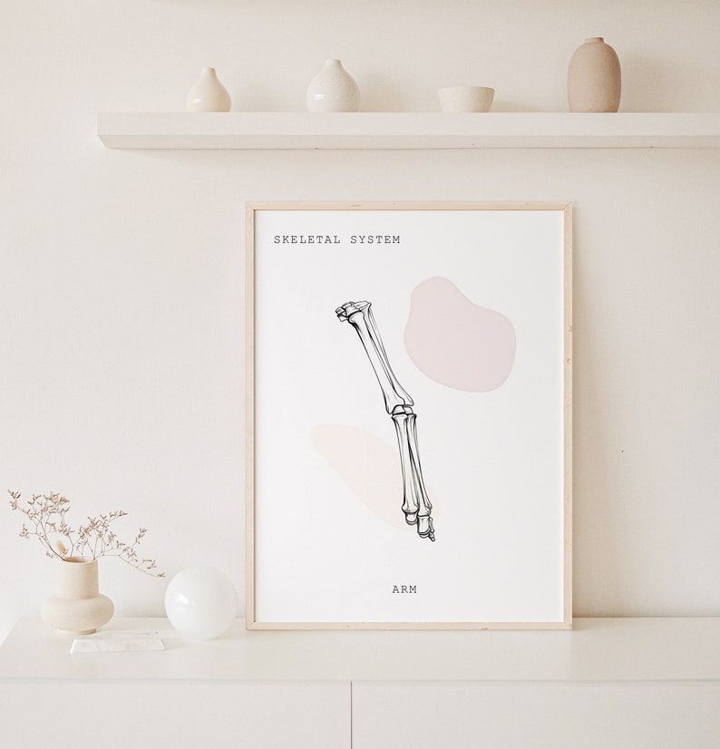 Arm Anatomy, Anatomy Printable, Anatomy Line Art, Medical Art, Clinic ...