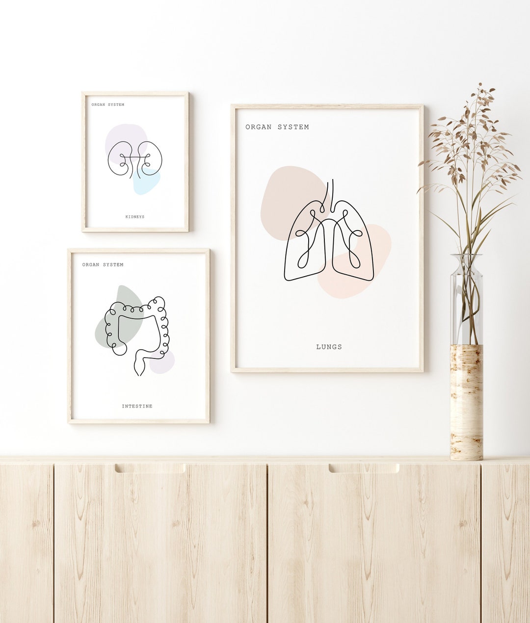 Organs Anatomy Set, Anatomy Printable, Anatomy Wall Art, Medical Art ...