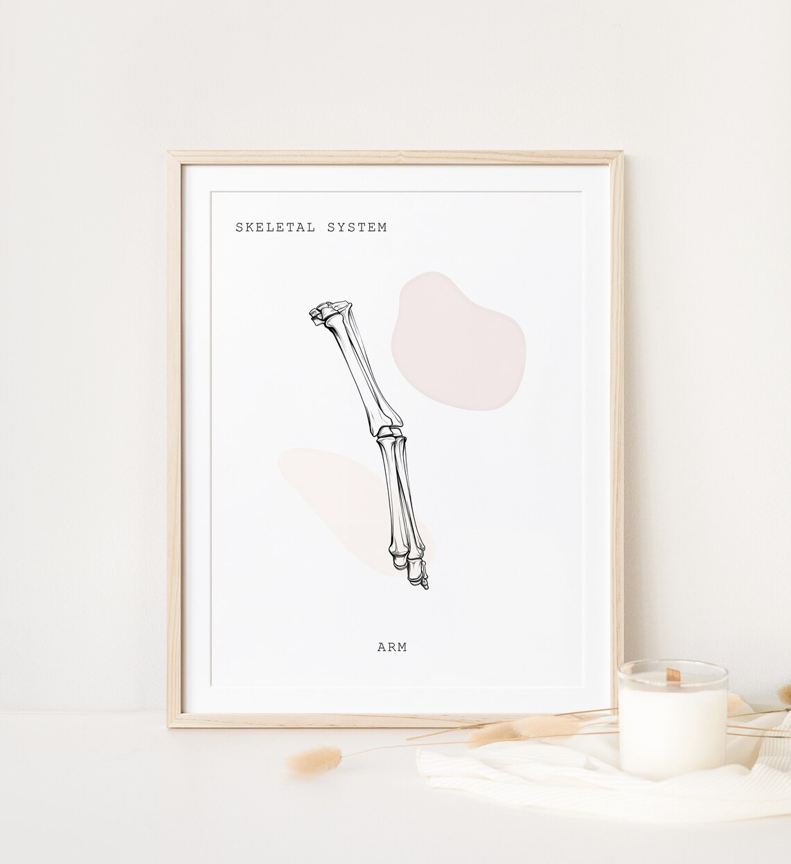 Arm Anatomy, Anatomy Printable, Anatomy Line Art, Medical Art, Clinic ...