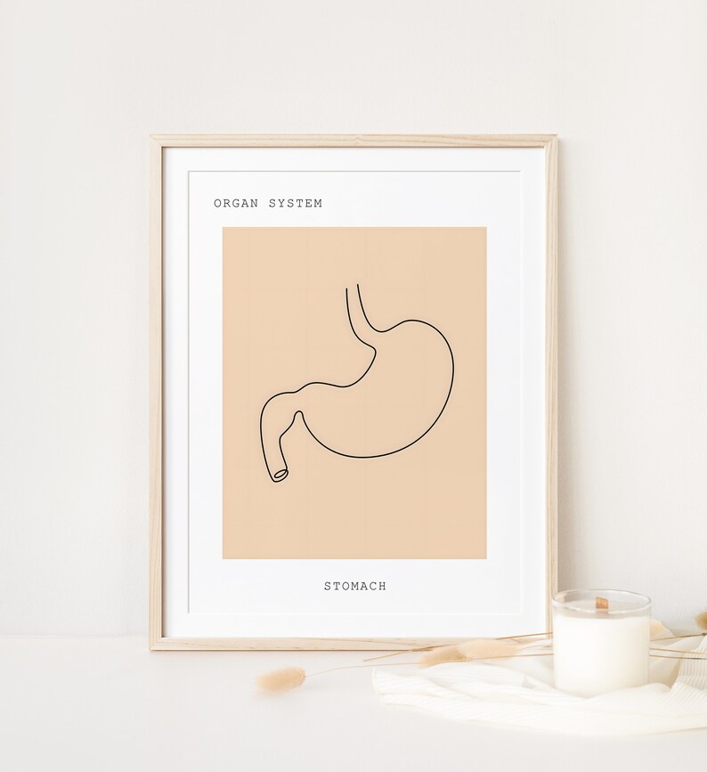 Anatomy Set, Anatomy Printable, Anatomy Wall Art, Medical Art, Clinic ...