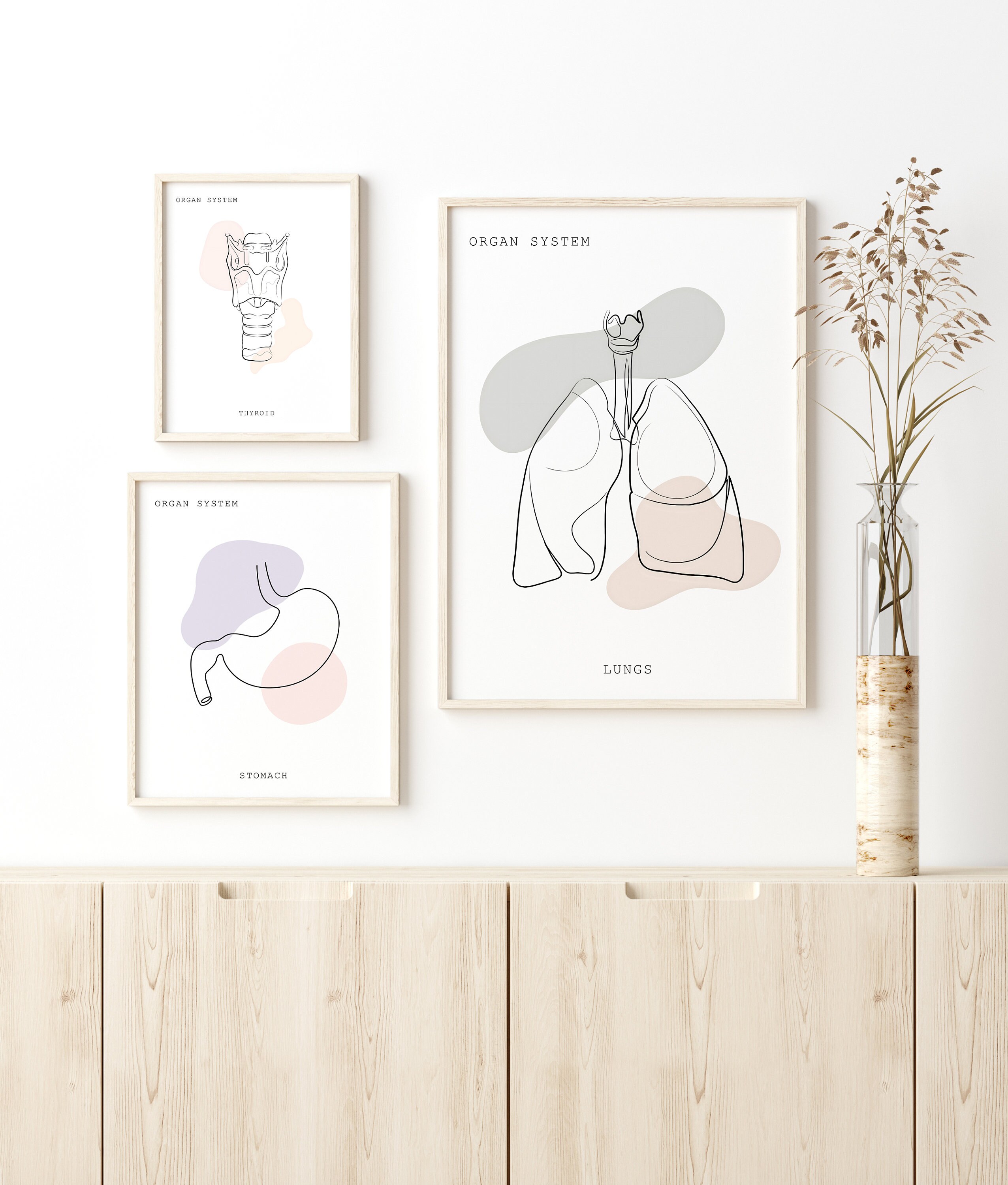 Organs Anatomy Set, Anatomy Printable, Anatomy Wall Art, Medical Art ...