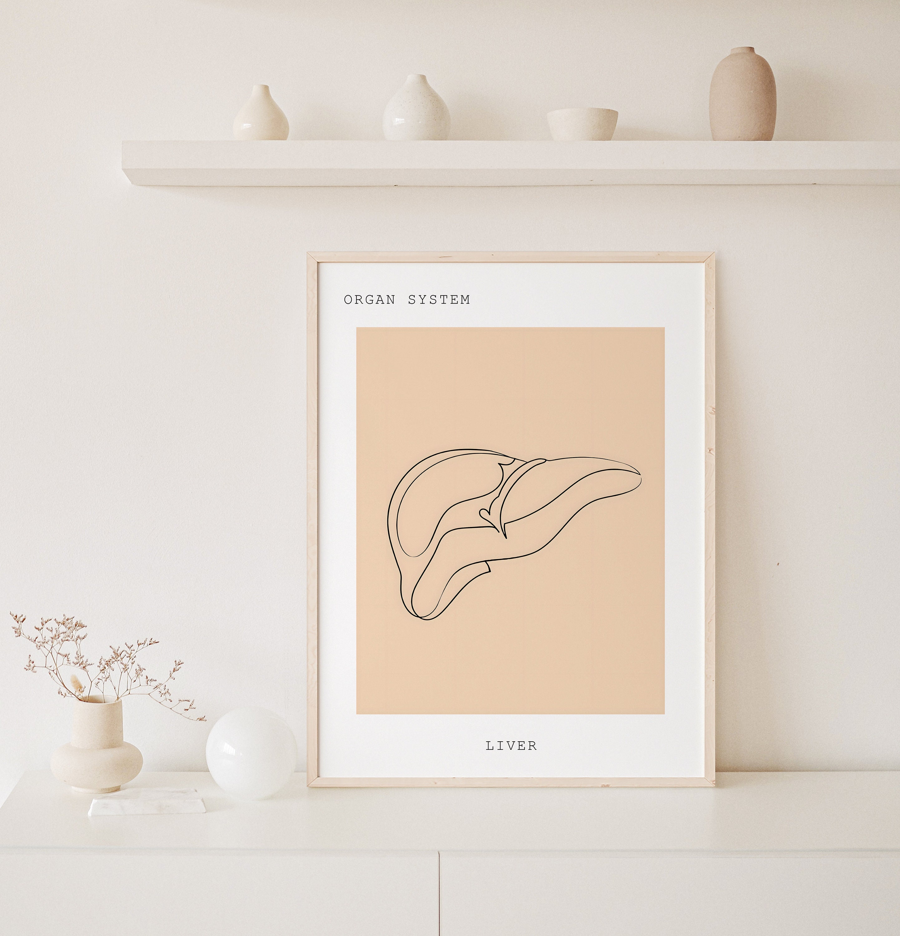 Liver Anatomy, Anatomy, Anatomy Printable, Anatomy Line Art, Medical ...
