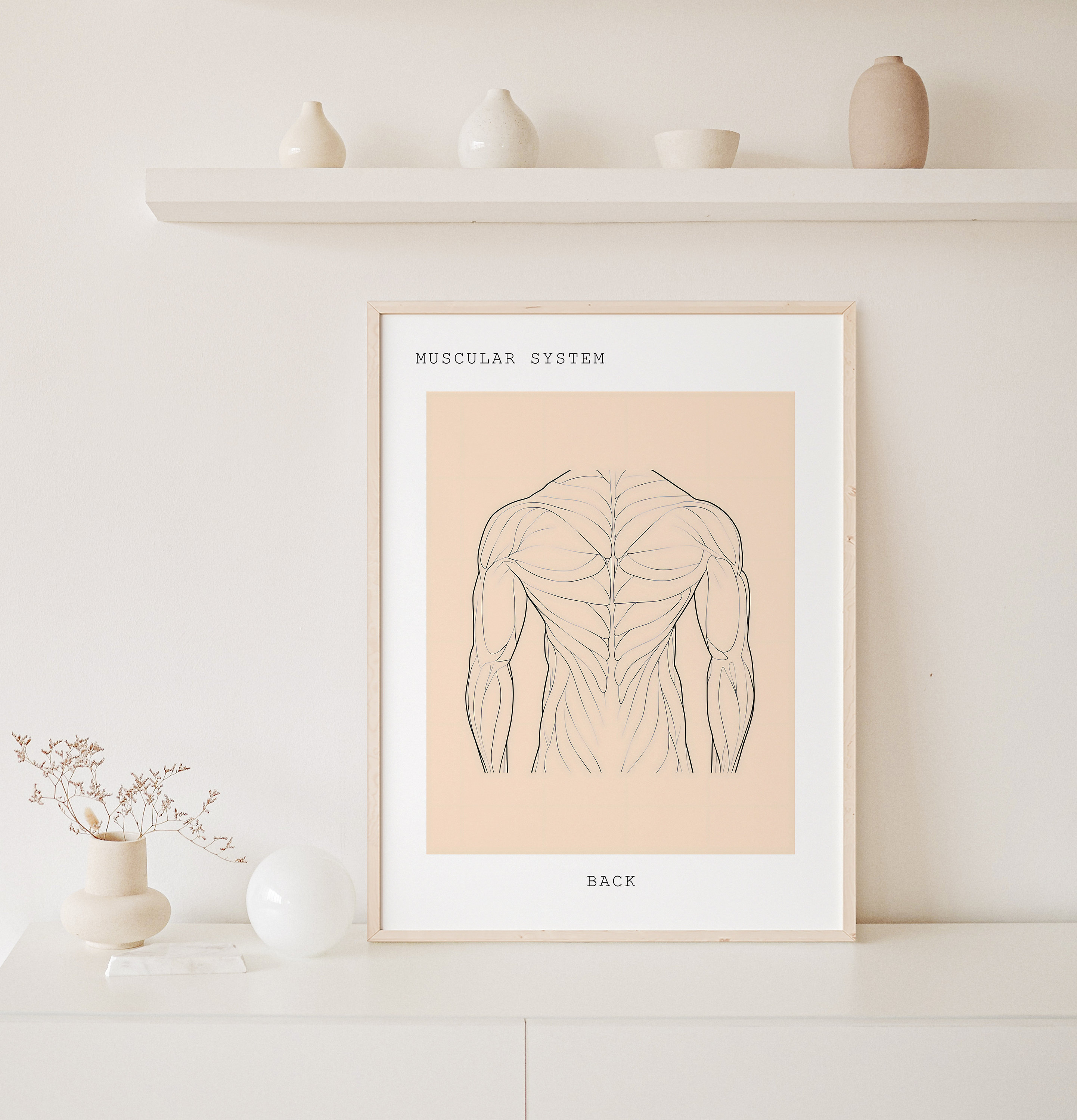 Back Anatomy, Anatomy, Anatomy Printable, Anatomy Line Art, Medical Art ...
