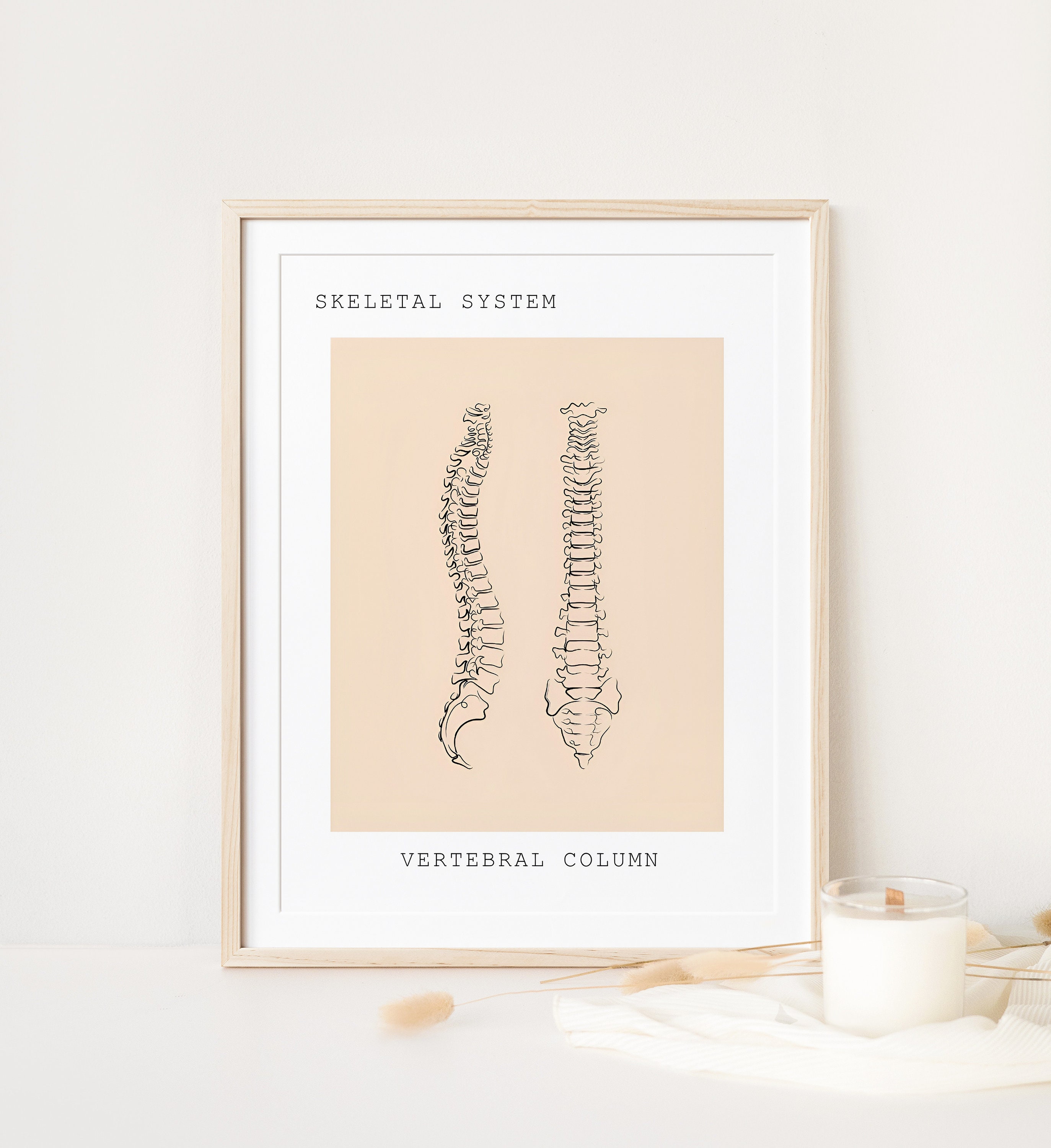Anatomy Set, Anatomy Printable, Anatomy Wall Art, Medical Art, Clinic ...