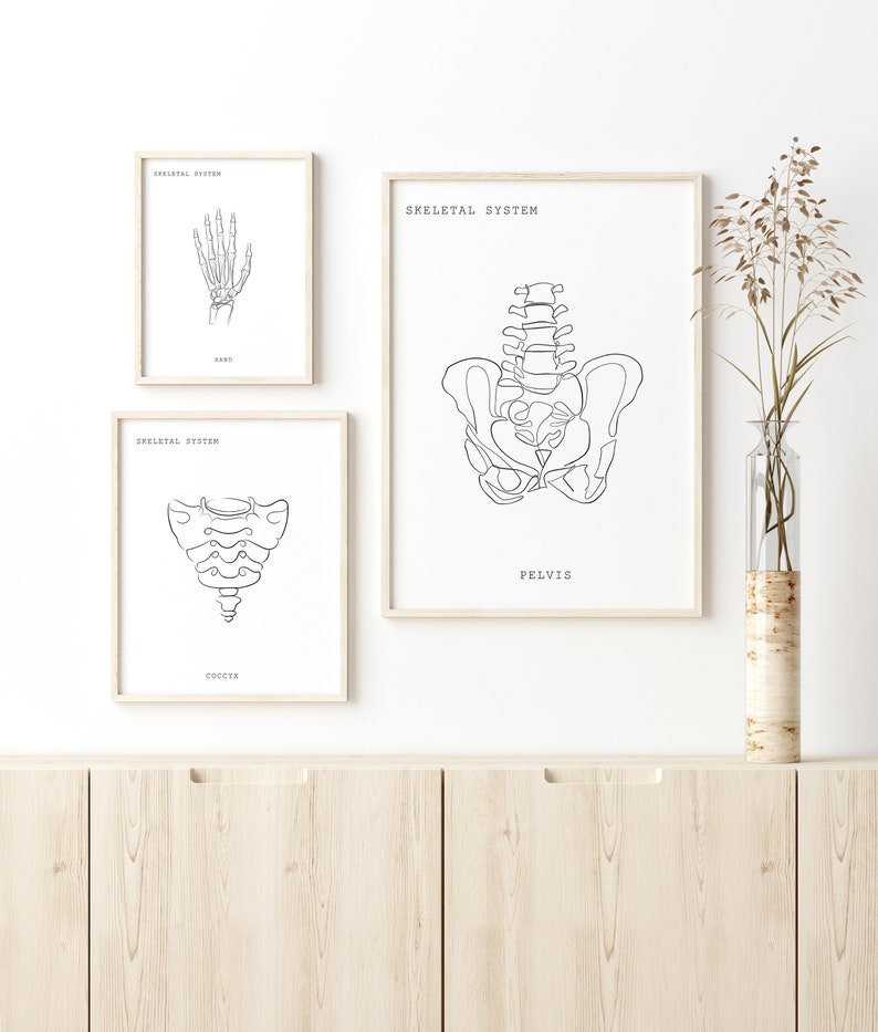 Bones Anatomy Set, Anatomy Printable, Anatomy Wall Art, Medical Art ...