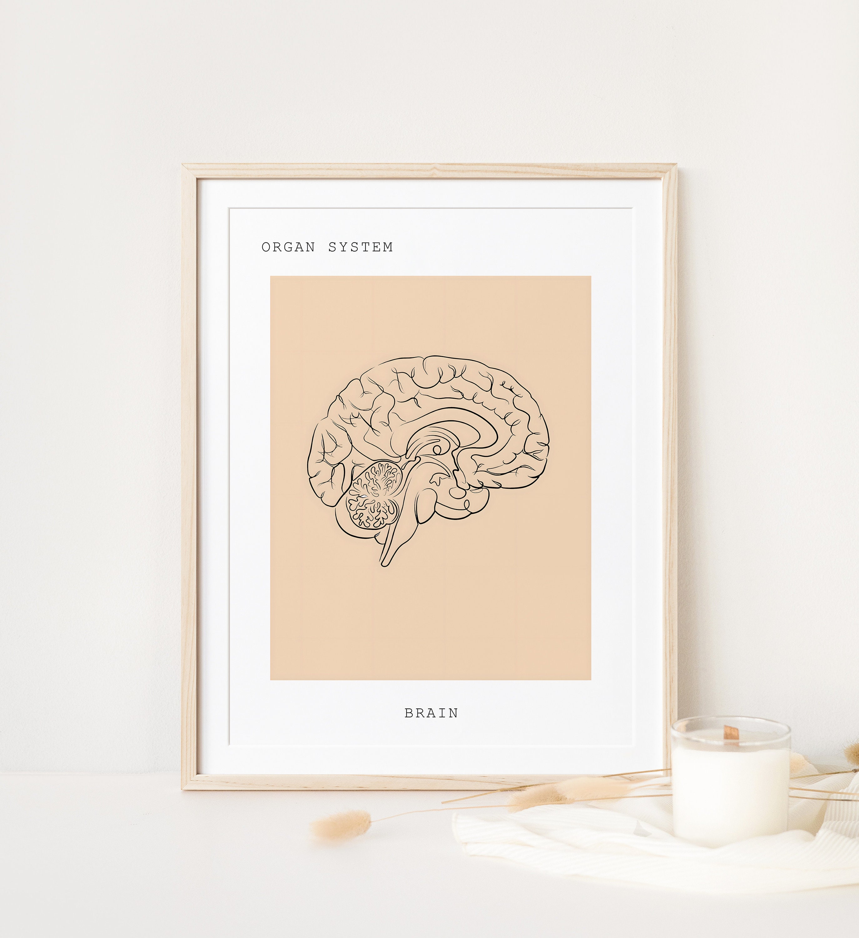Anatomy Set, Anatomy Printable, Anatomy Wall Art, Medical Art, Clinic ...