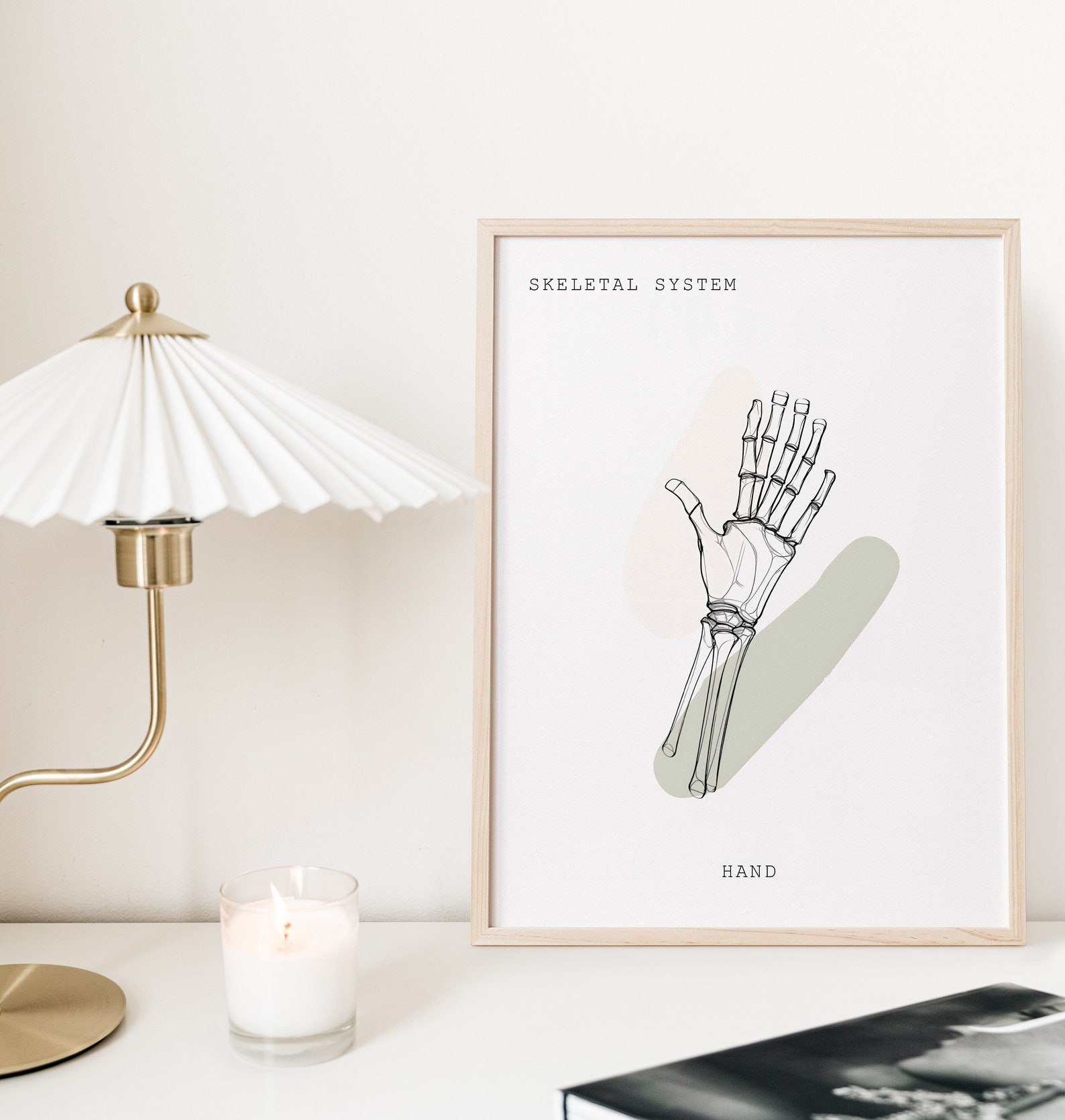 Hand Anatomy, Anatomy Printable, Anatomy Line Art, Medical Art, Clinic ...