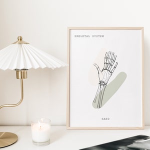 Hand Anatomy, Anatomy Printable, Anatomy Line Art, Medical Art, Clinic ...