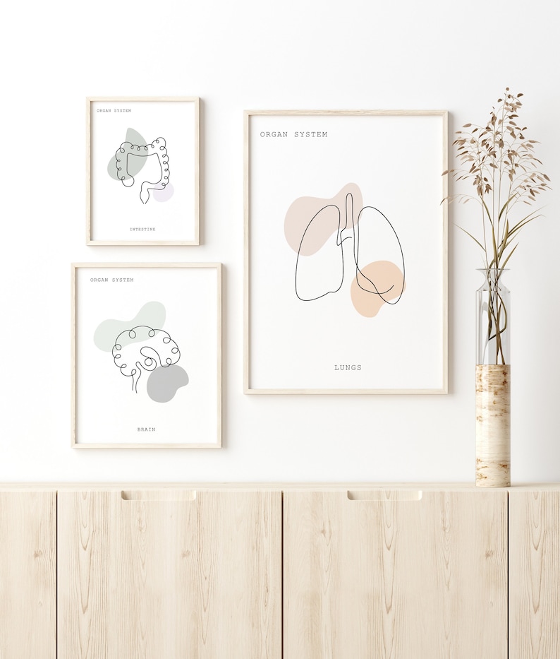 Organs Anatomy Set, Anatomy Printable, Anatomy Wall Art, Medical Art ...