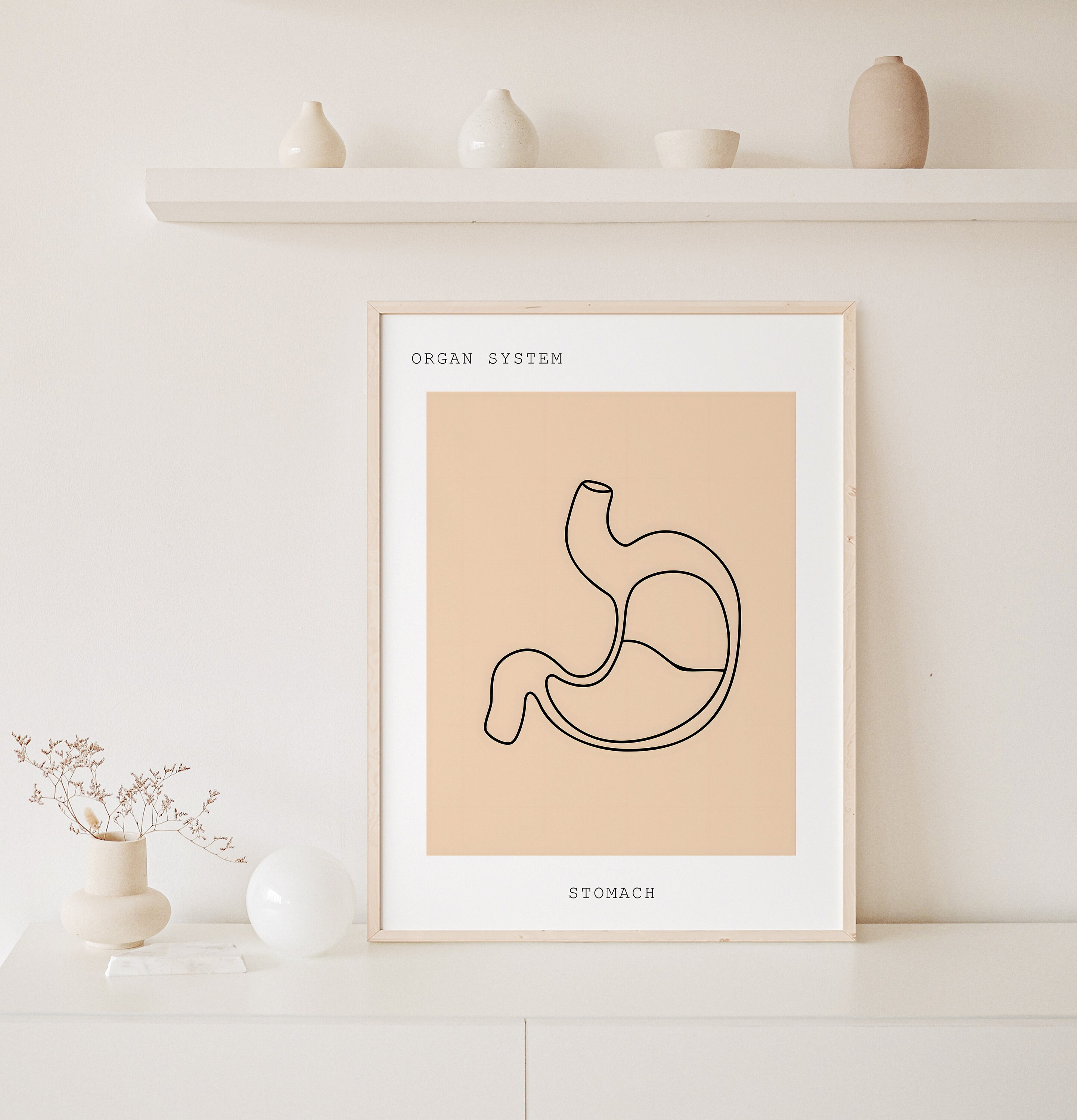 Stomach Anatomy, Anatomy, Anatomy Wall Art, Anatomy Line Art, Medical ...