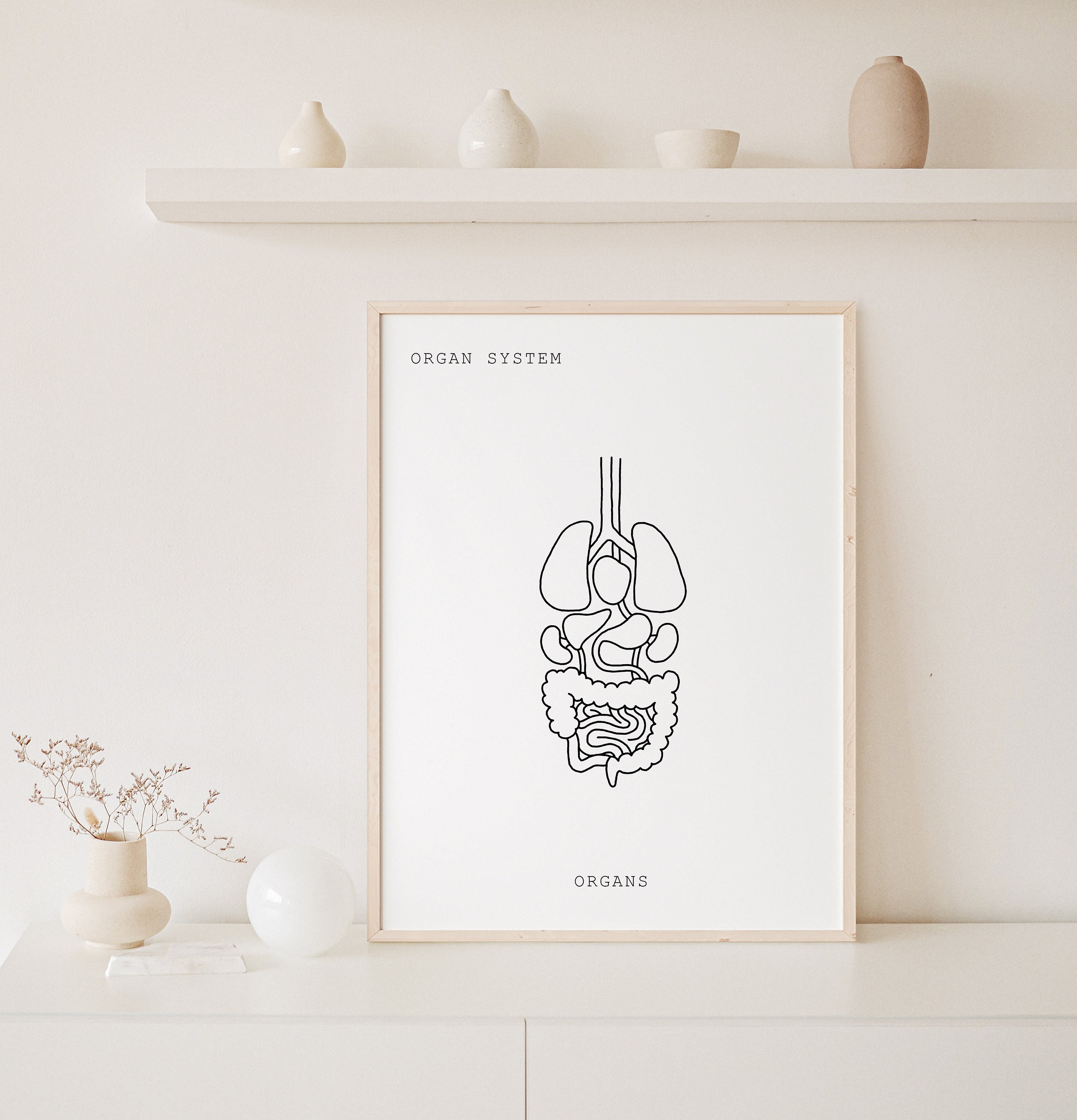 Organs Anatomy, Anatomy, Anatomy Printable, Anatomy Line Art, Medical ...
