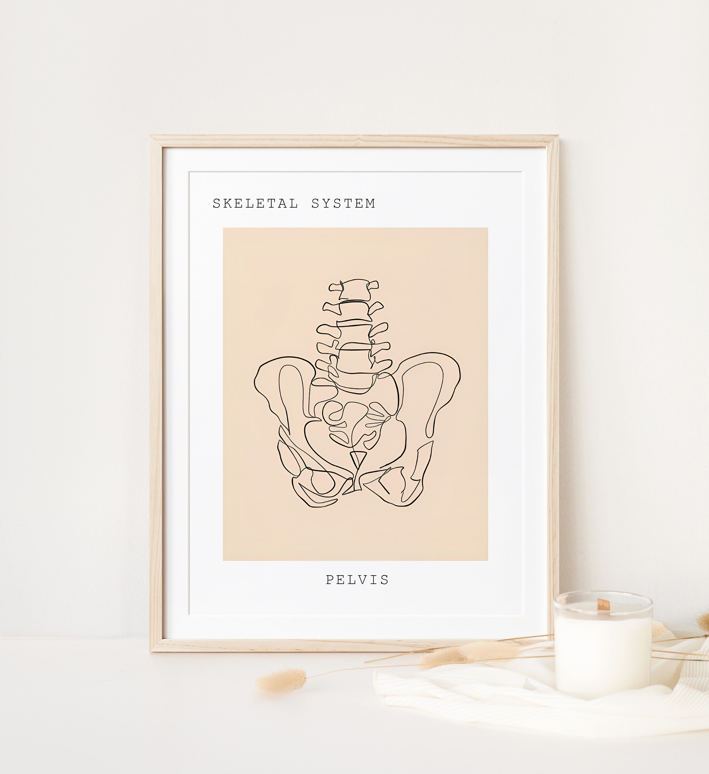 Anatomy Set, Anatomy Printable, Anatomy Wall Art, Medical Art, Clinic ...