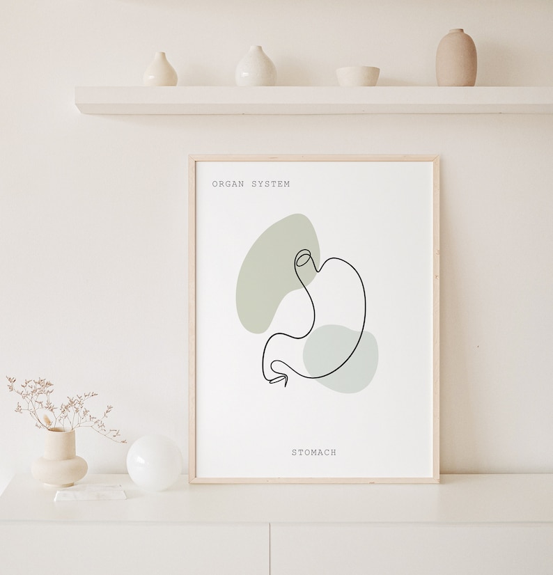 Stomach Anatomy, Anatomy, Anatomy Printable, Anatomy Line Art, Medical ...