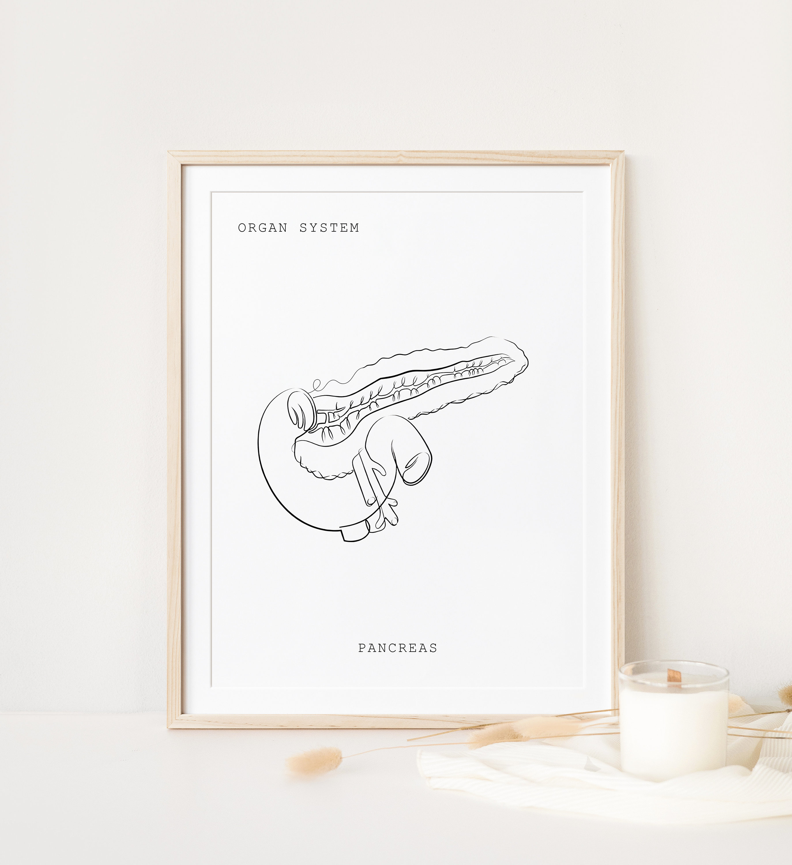 Pancreas Anatomy, Anatomy, Anatomy Printable, Anatomy Line Art, Medical ...