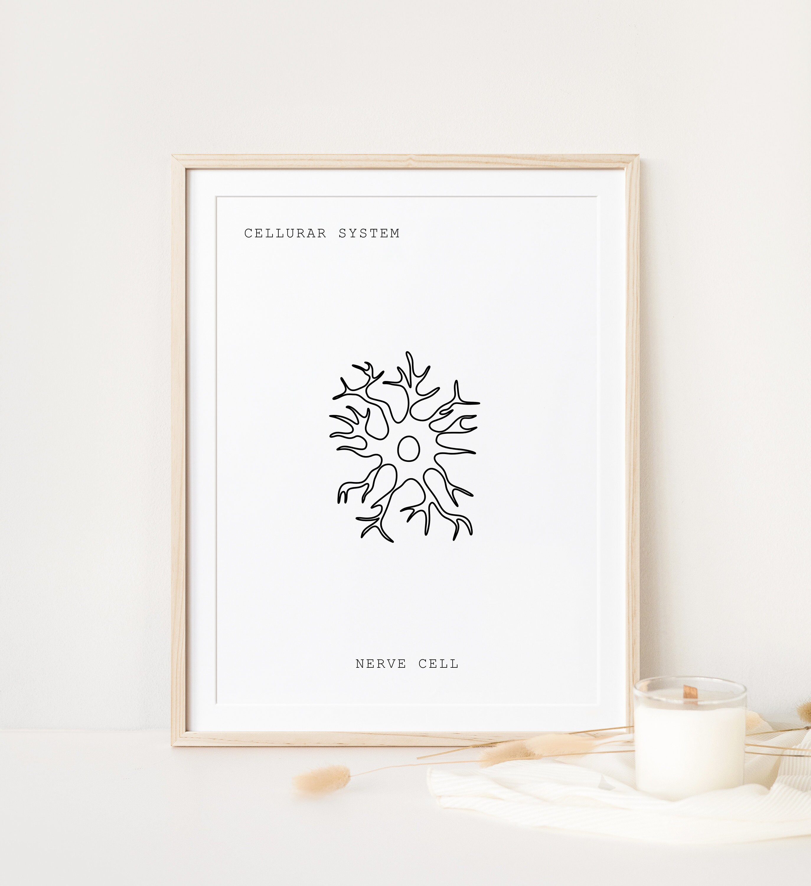 Nerve Cell Anatomy, Anatomy, Anatomy Printable, Anatomy Line Art ...